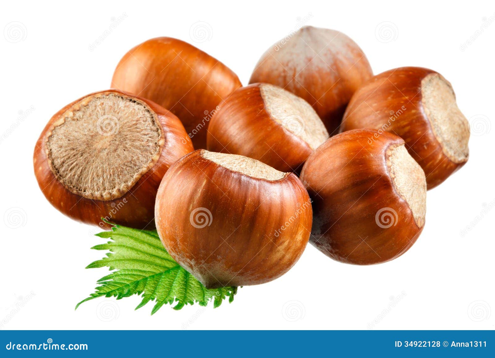 Filbert with Leaves on White Background Stock Photo - Image of group ...