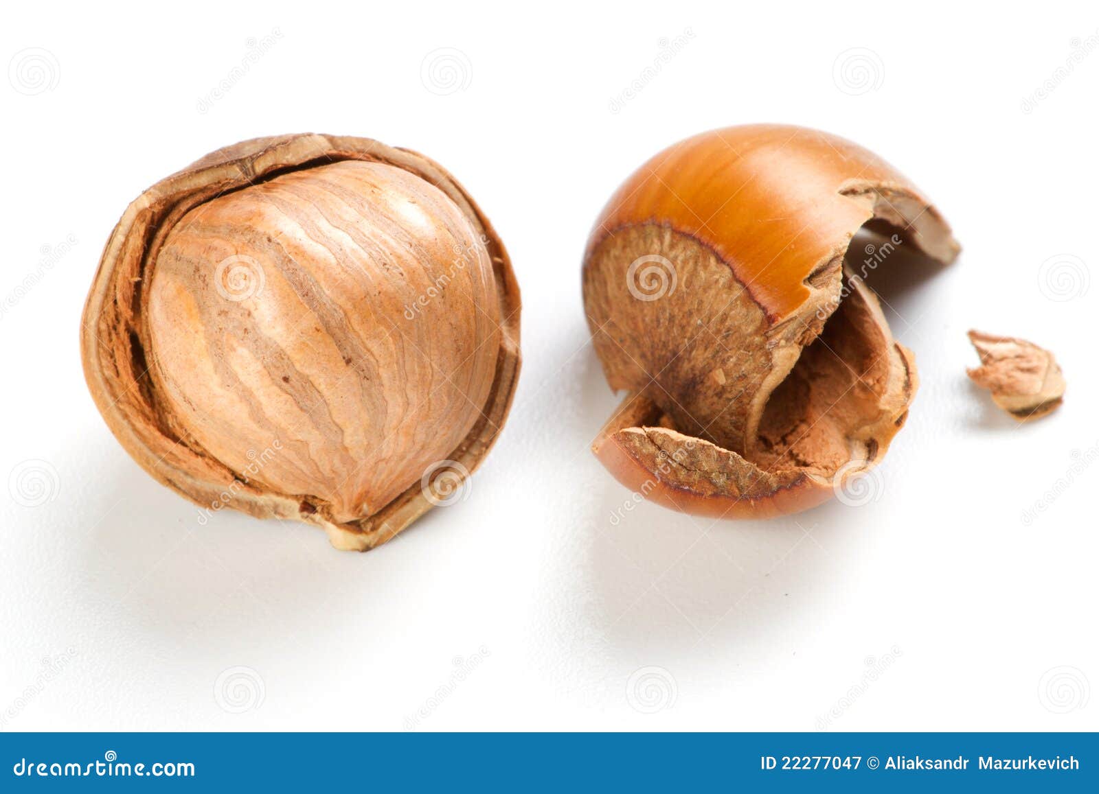 Filbert nut stock image. Image of ingredient, organic - 22277047