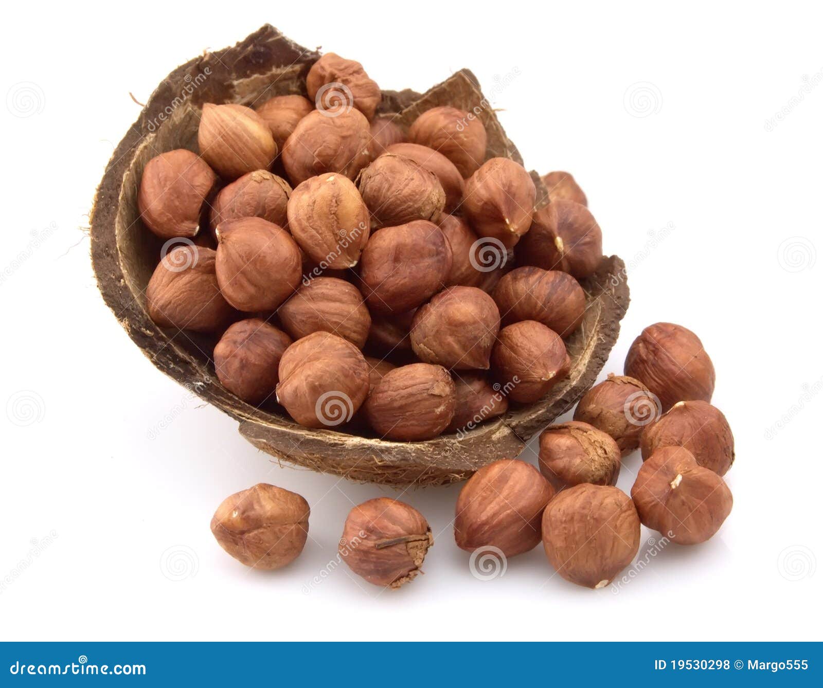 Filbert nuts stock photo. Image of shell, skill, break - 19530298