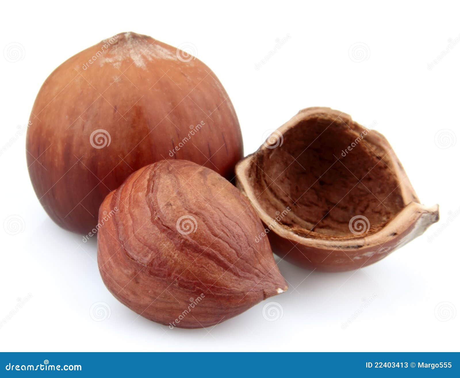 Filbert nuts close up stock image. Image of meal, tree - 22403413