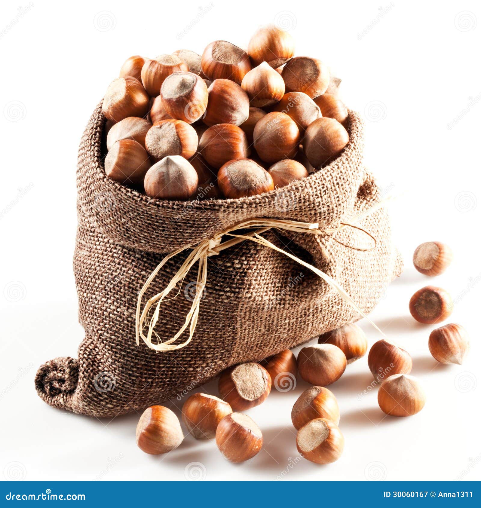 Filberts on White Background Isolated Stock Image - Image of macro ...