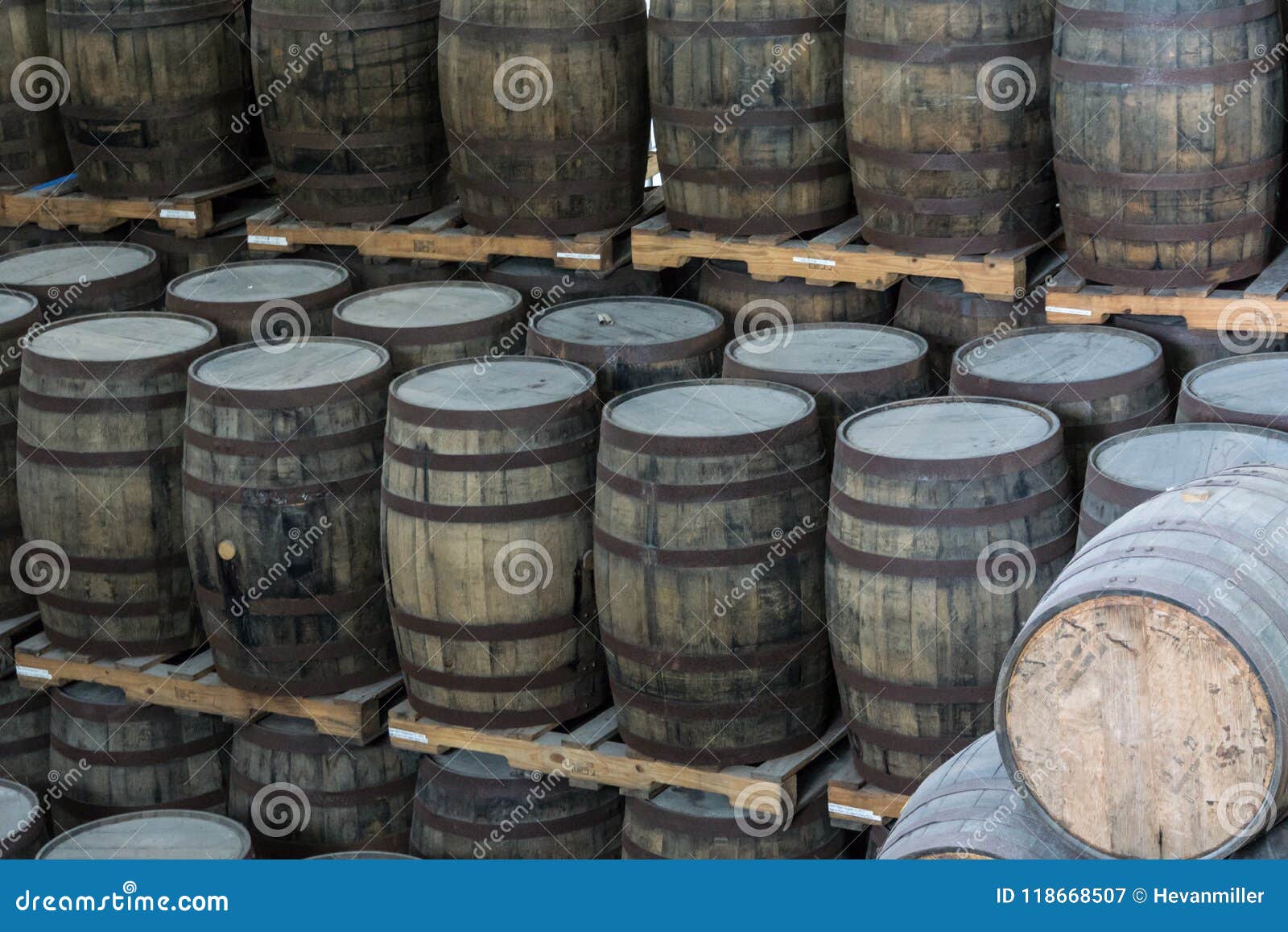 File Dei Barilotti Del Rum Di Invecchiamento Immagine Stock - Immagine ...