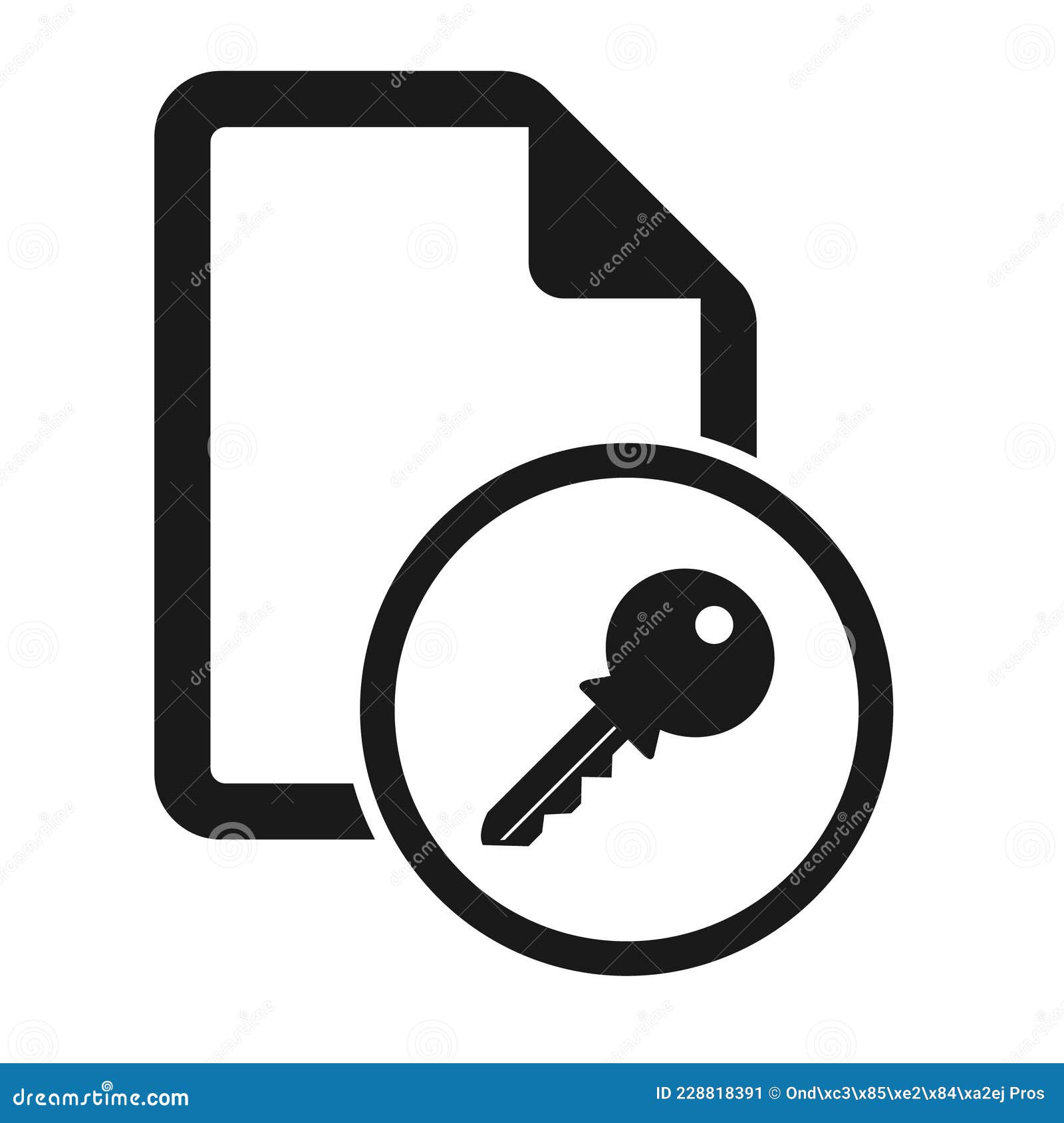 File Flat Icon with Key Isolated on White Background. Solution Document ...