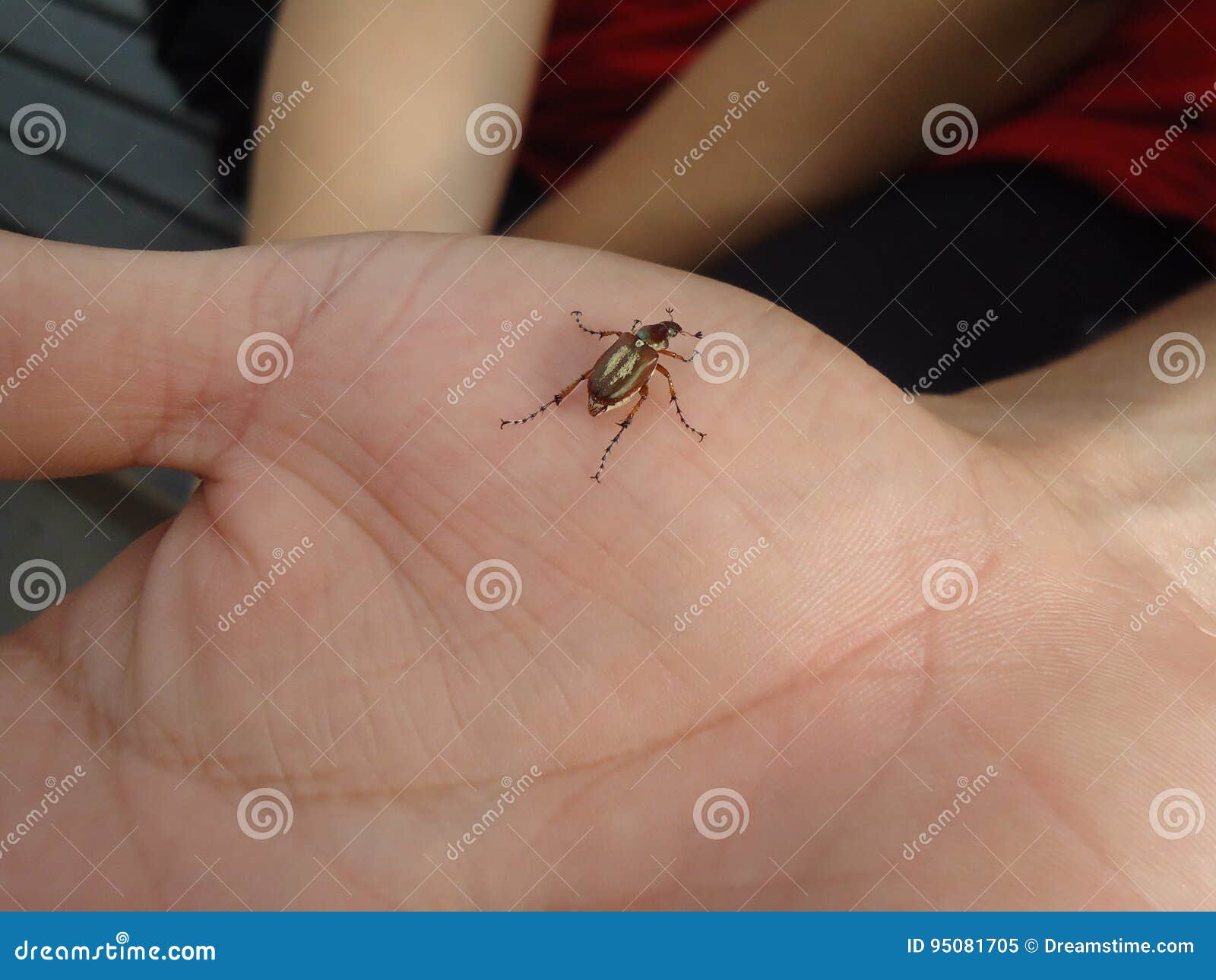 File0326 stock image. Image of amazing, human, intrepid - 95081705