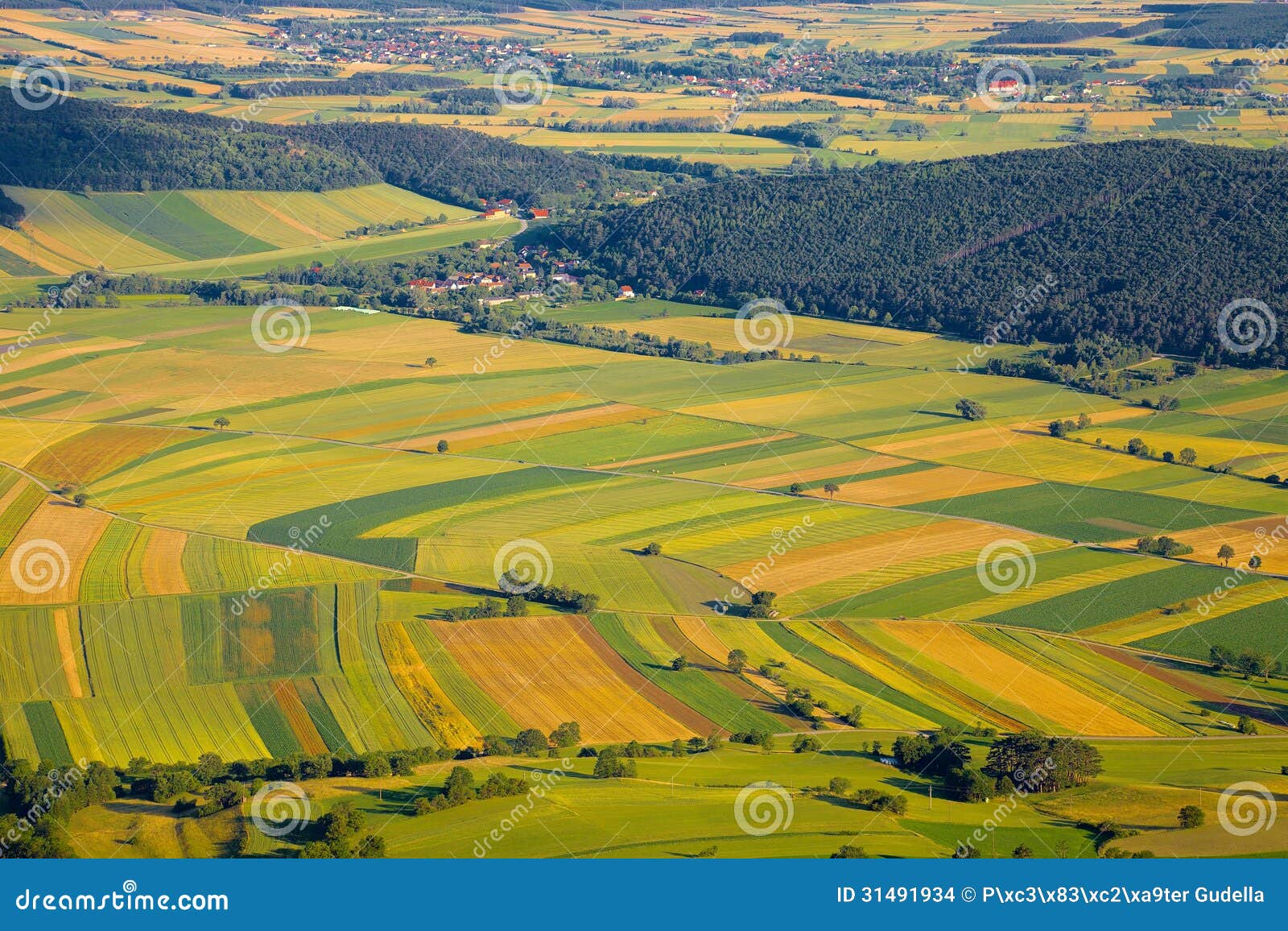 Fileds stock photo. Image of panorama, agricultural, meadow - 31491934