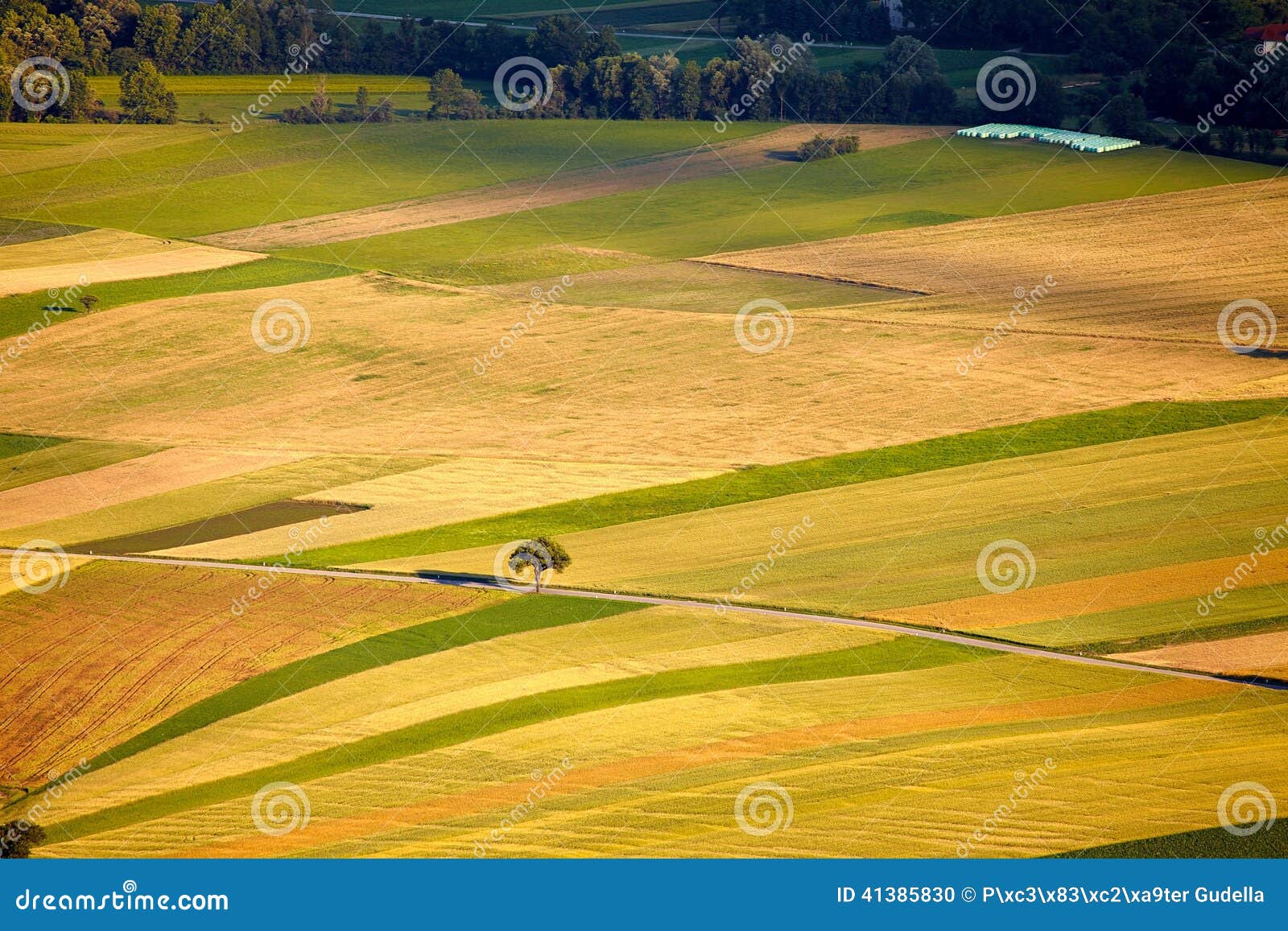 Fileds stock photo. Image of farm, landscape, land, meadow - 41385830