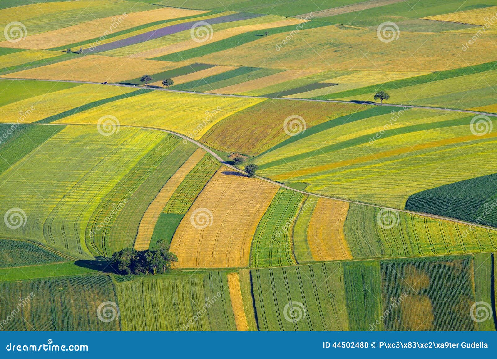 Fileds stock photo. Image of land, agriculture, panorama - 44502480