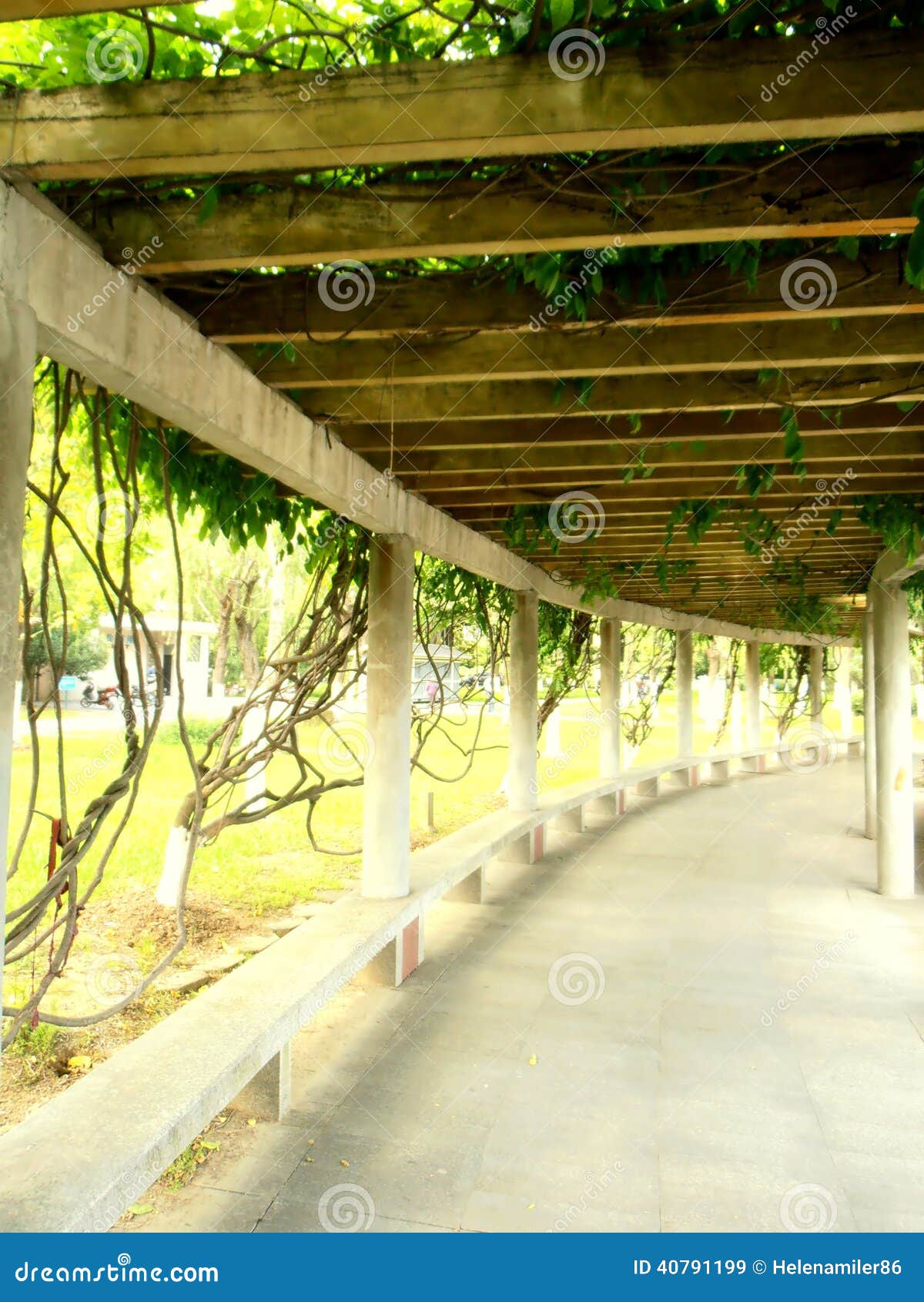 Fileira Da Coluna Em Um Jardim Imagem de Stock - Imagem de plantas ...