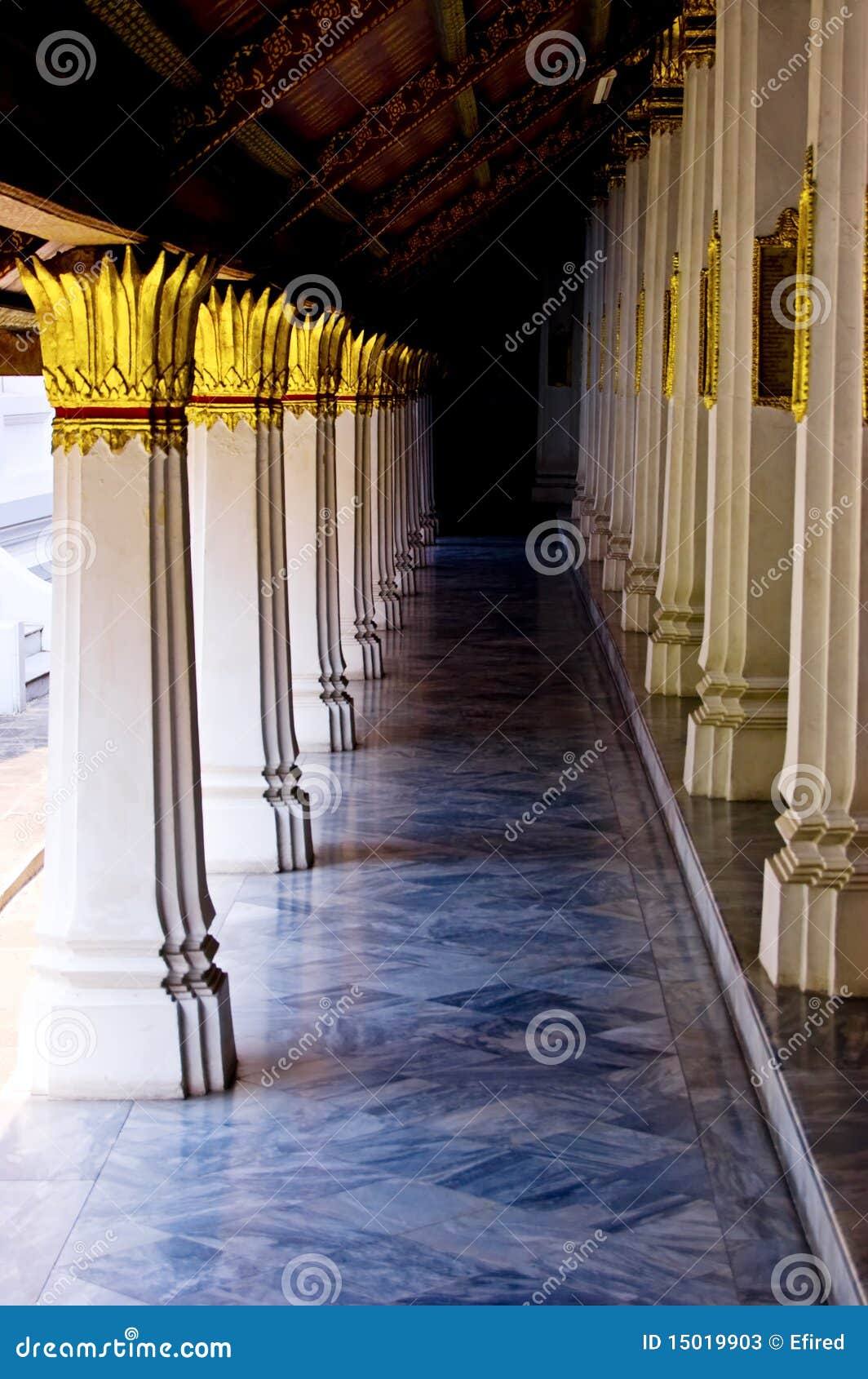 Fileira das colunas imagem de stock. Imagem de arquitetura - 15019903