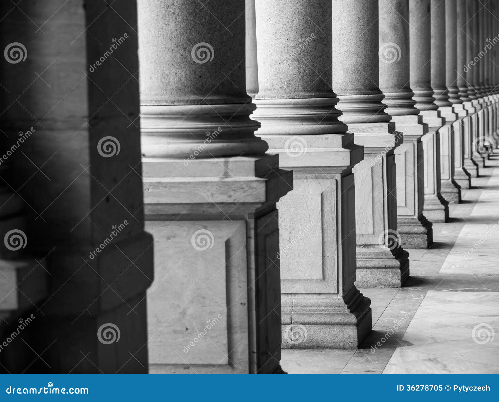 Fileira Das Colunas Em Preto E Branco Imagem de Stock - Imagem de ...