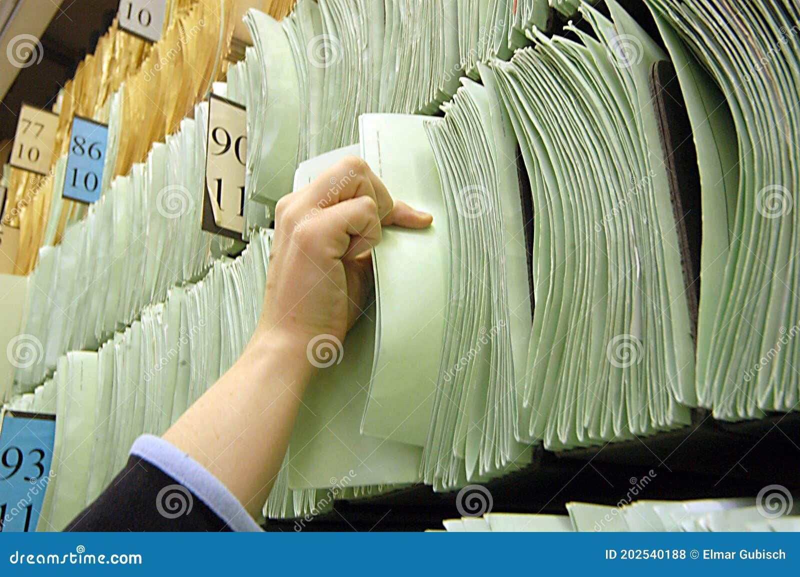Files and Documents in the Archive Stock Photo - Image of order ...