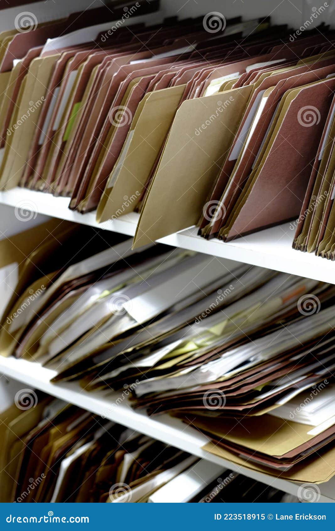 Files on Shelf Business Work Folders for Organizing Papers Stock Image ...