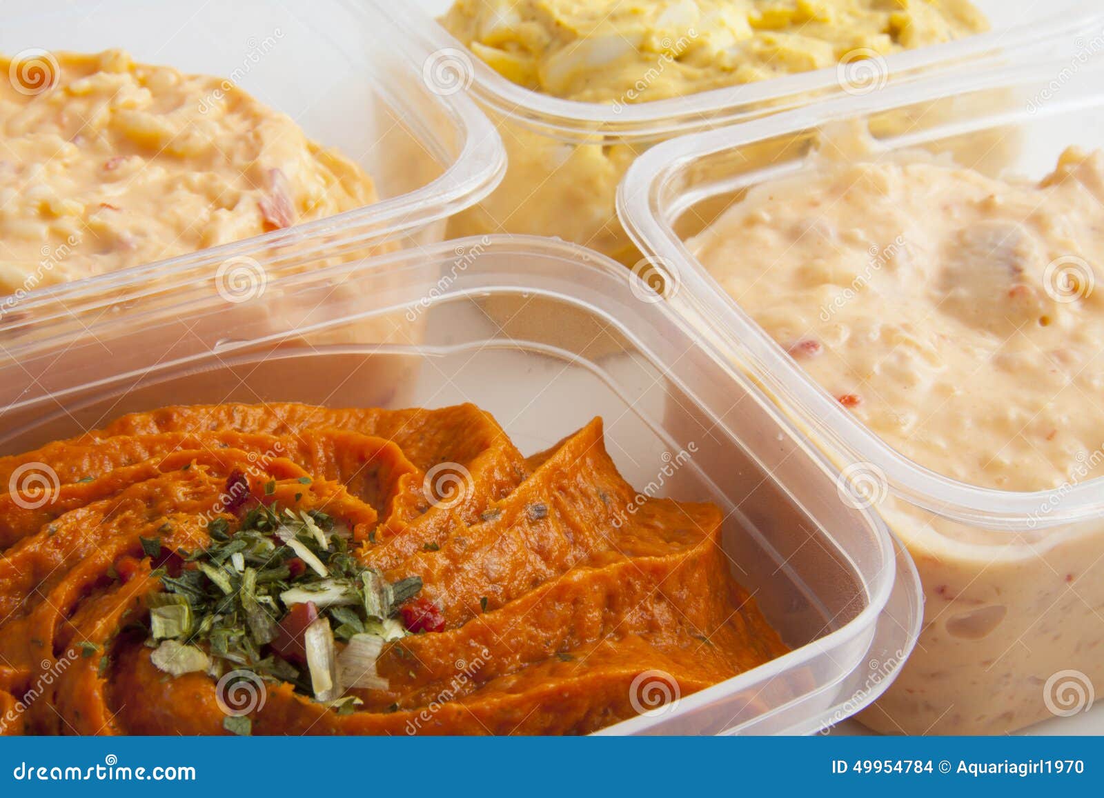 Filet americain stock photo. Image of beef, holland, lean - 49954784