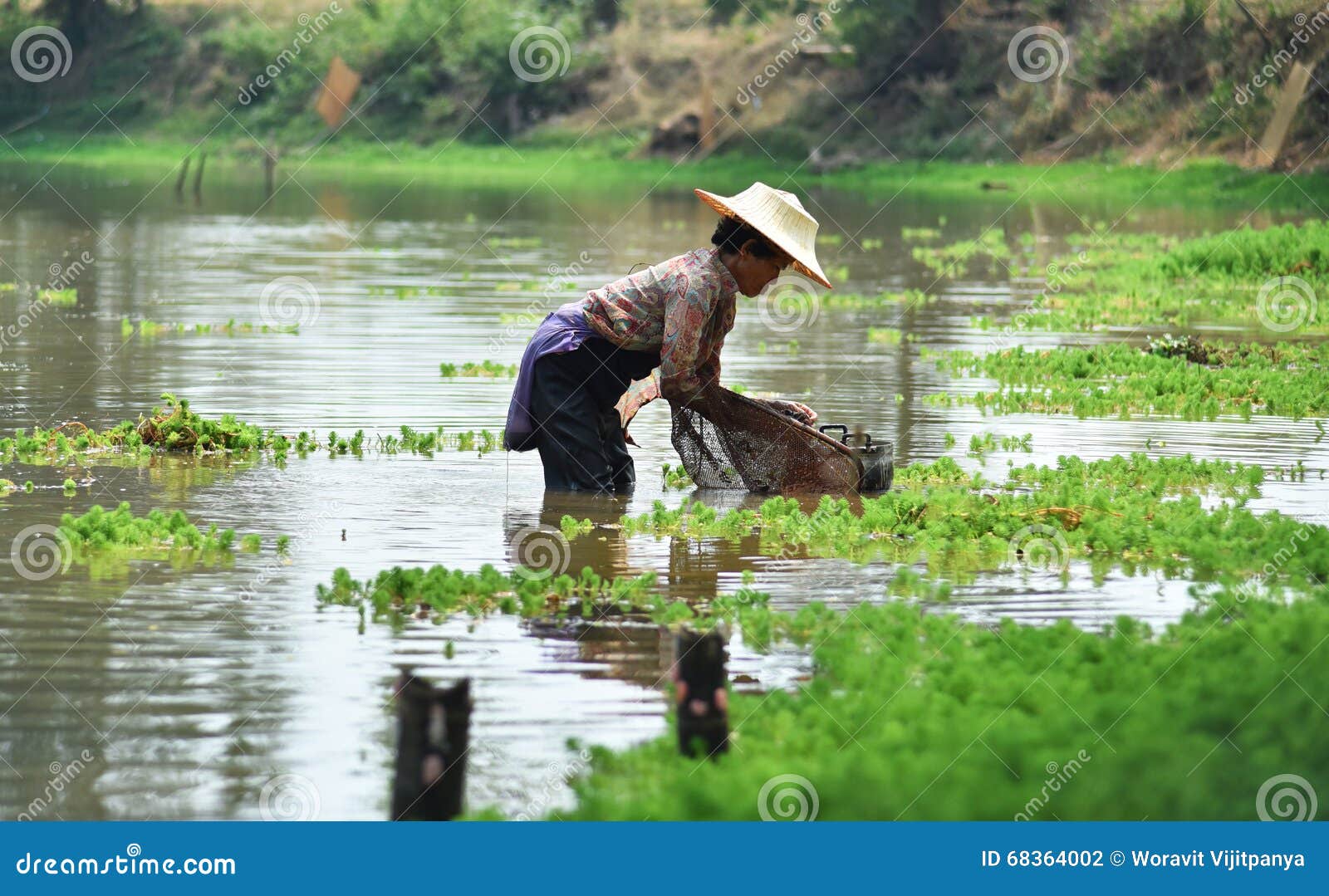 Filet de pêche de mamie photographie éditorial. Image du adulte - 68364002