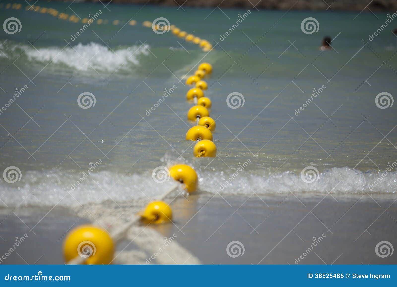 Filet de requin photo stock. Image du corde, plusieurs - 38525486