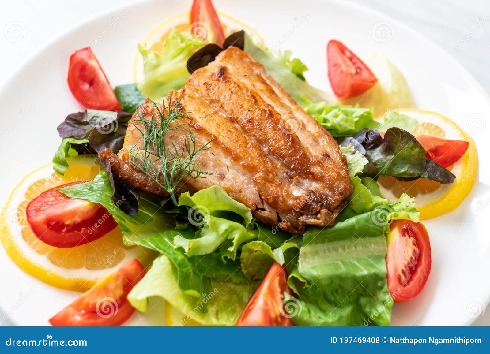 Filete de pargo foto de archivo. Imagen de rebanada - 197469408