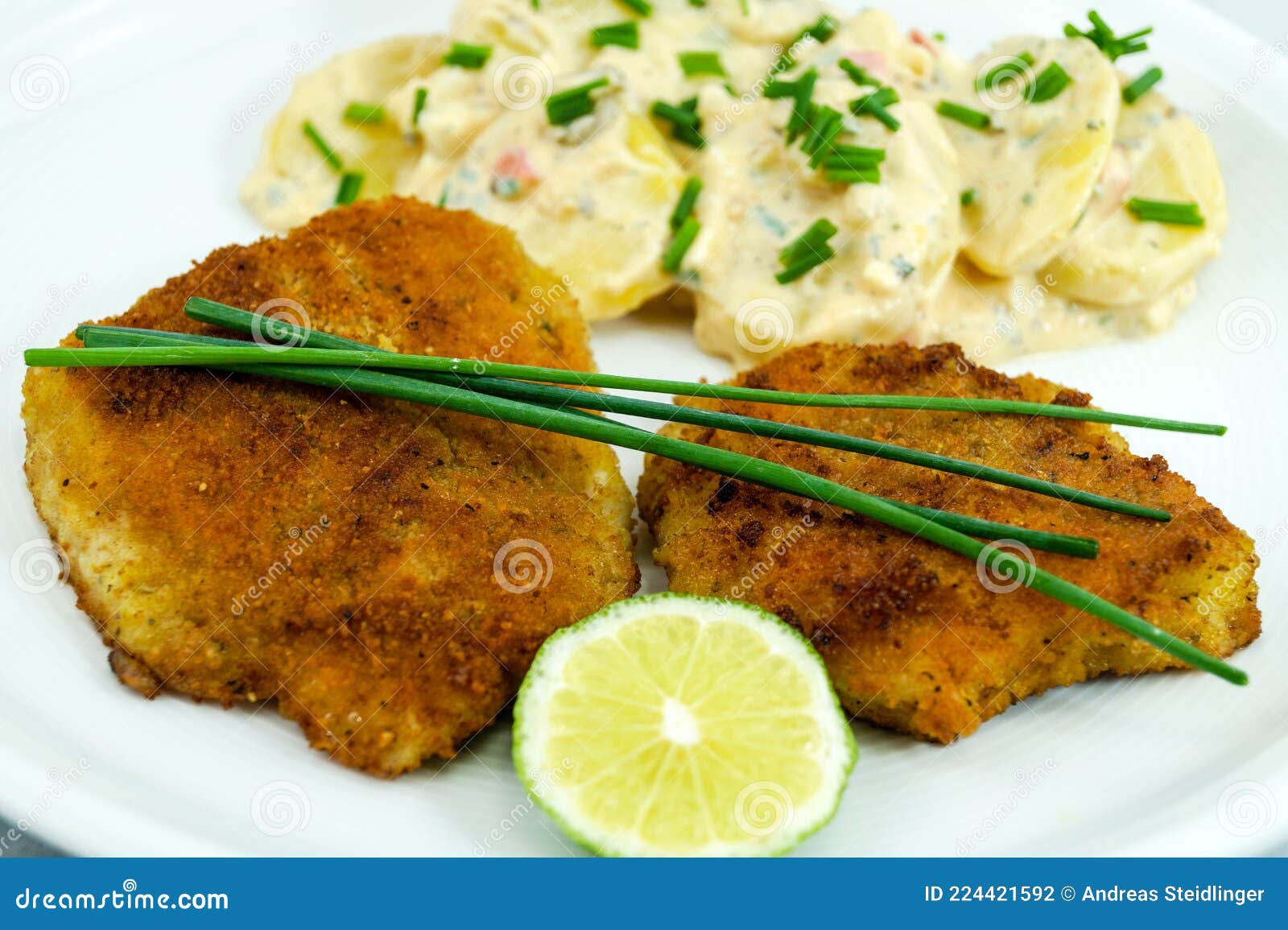 Filete de pargo rojo foto de archivo. Imagen de crudo - 224421592