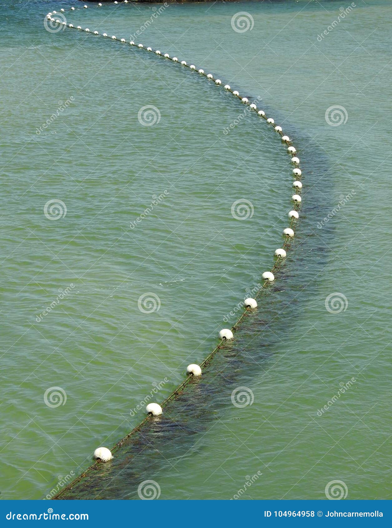 Filets de requin photo stock. Image du australie, wales - 104964958