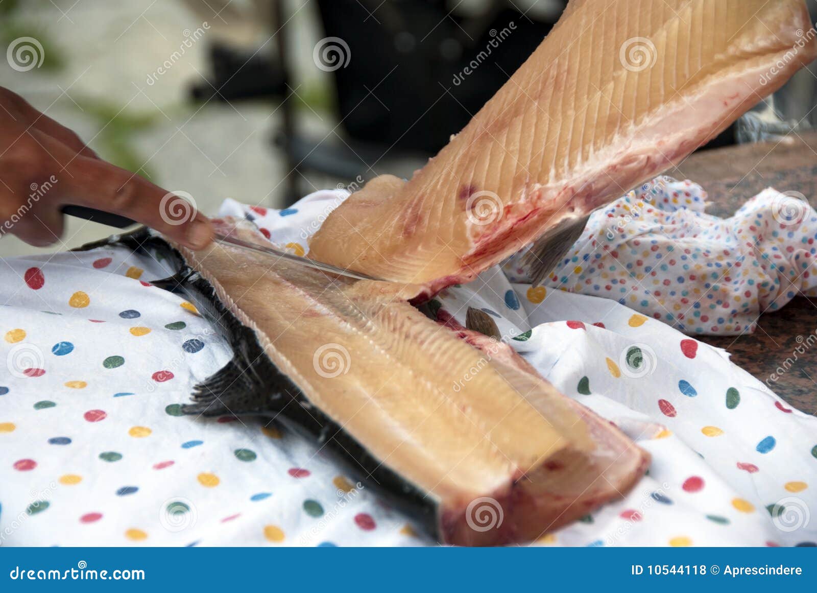Filetting fish stock photo. Image of health, food, fish - 10544118