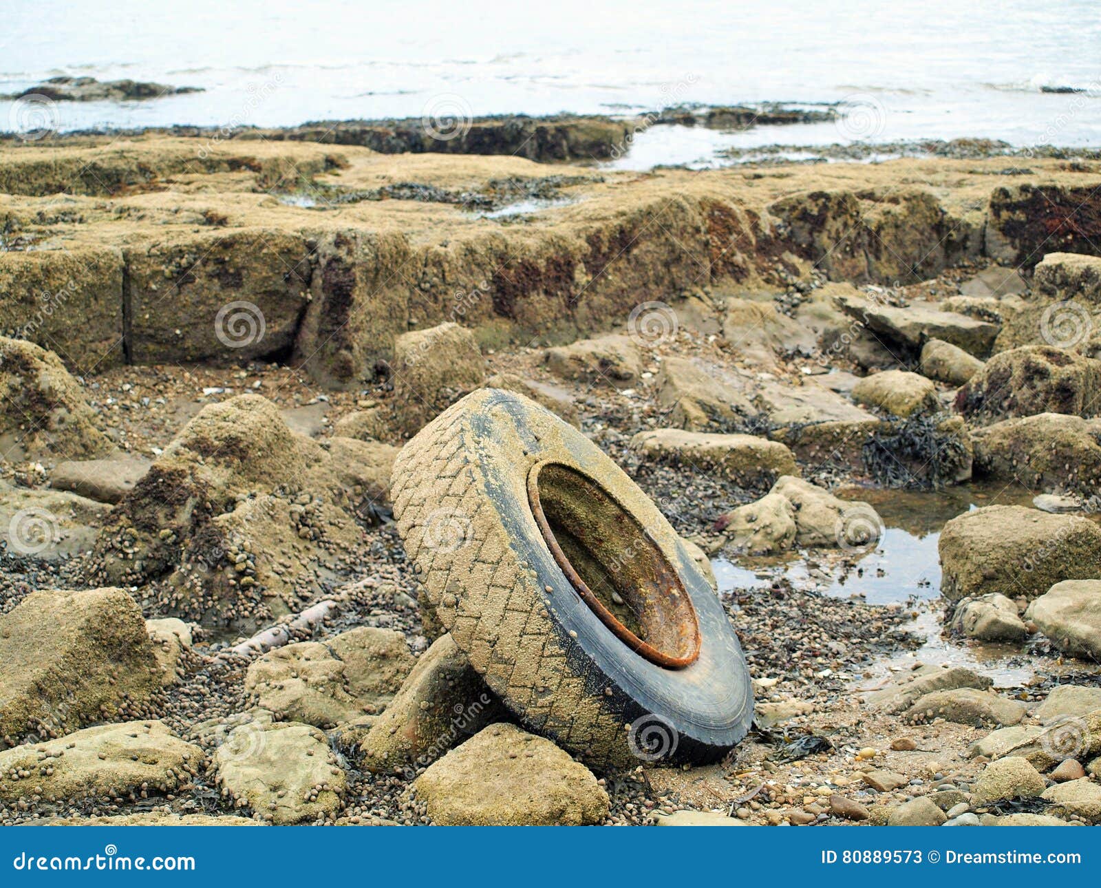 Filey Brig Waves Crashing Over the Rocks Stock Image - Image of waves ...