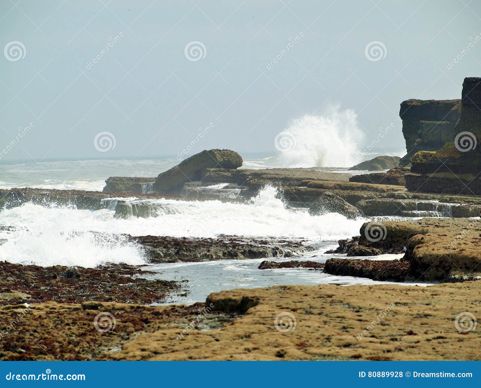 Filey Brig Waves Crashing Over the Rocks Stock Photo - Image of walking ...