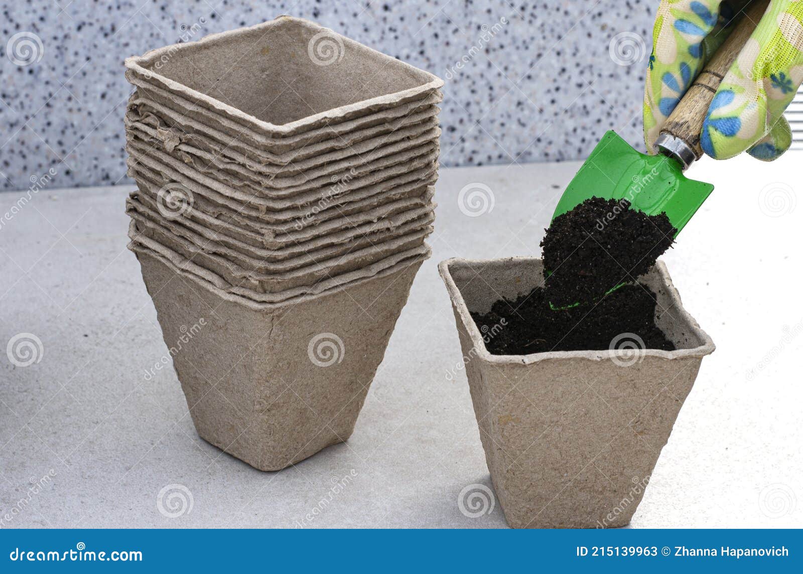 Fill the Ground with Your Hand in Jars for Planting Seeds Stock Image ...