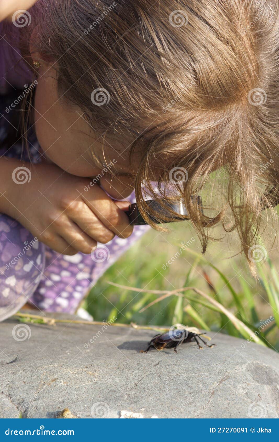 Fille curieuse image stock. Image du regarder, analyser - 27270091