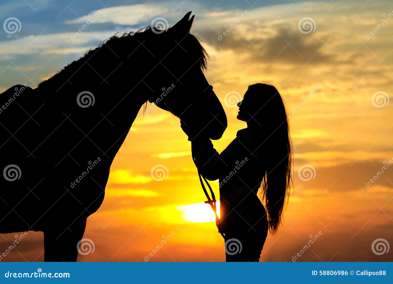 Fille et cheval photo stock. Image du amitié, soirée - 58806986