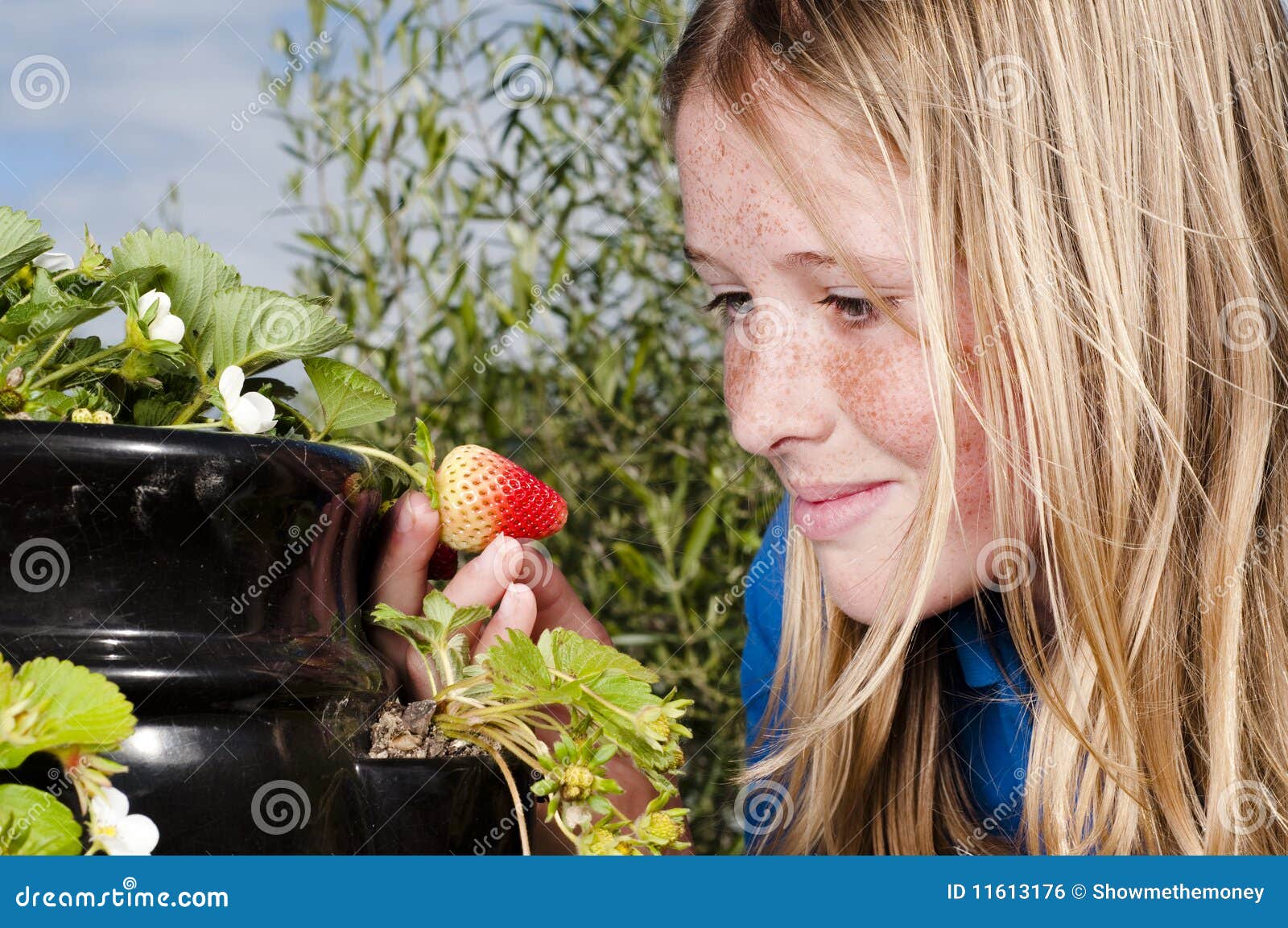 Fille et fraise photo stock. Image of sourire, frais - 11613176