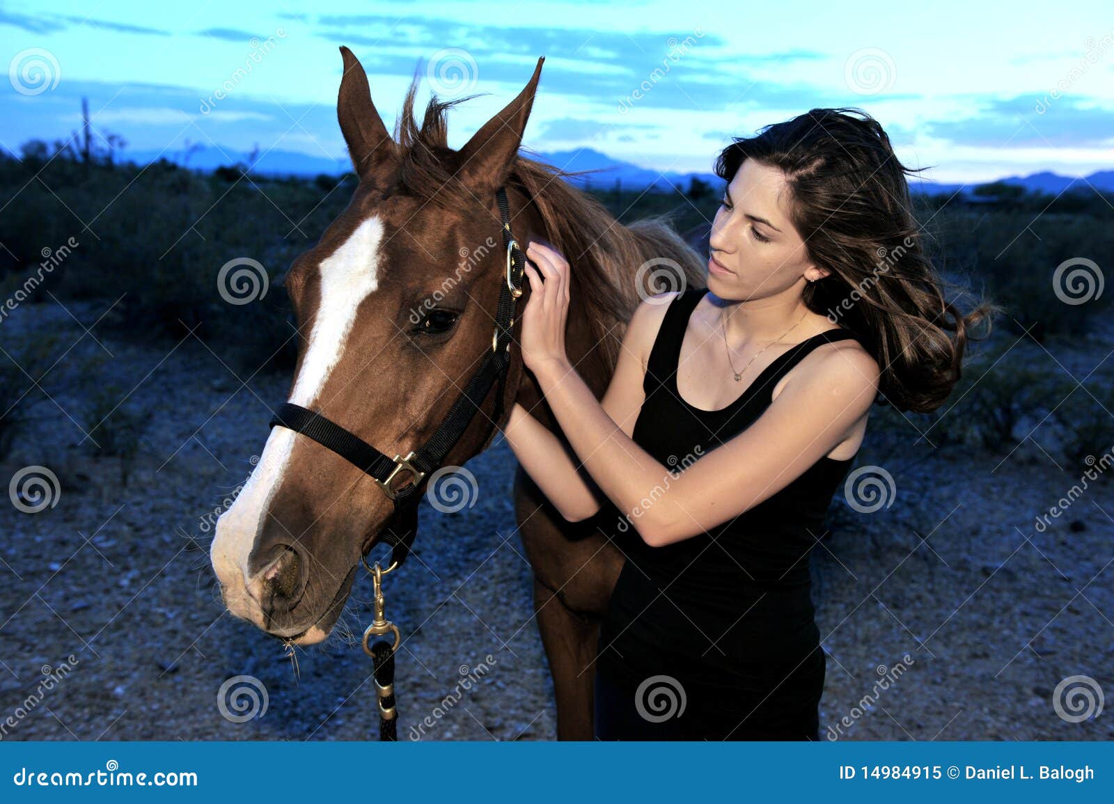 Fille et son cheval image stock. Image du éleveur, amour - 14984915