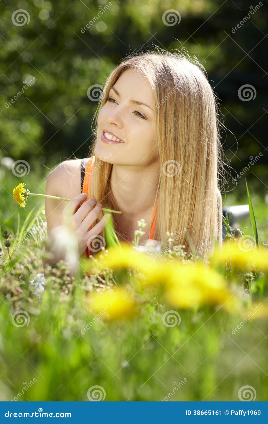 Fille Se Trouvant Sur Le Champ Des Pissenlits Image Stock Image Du