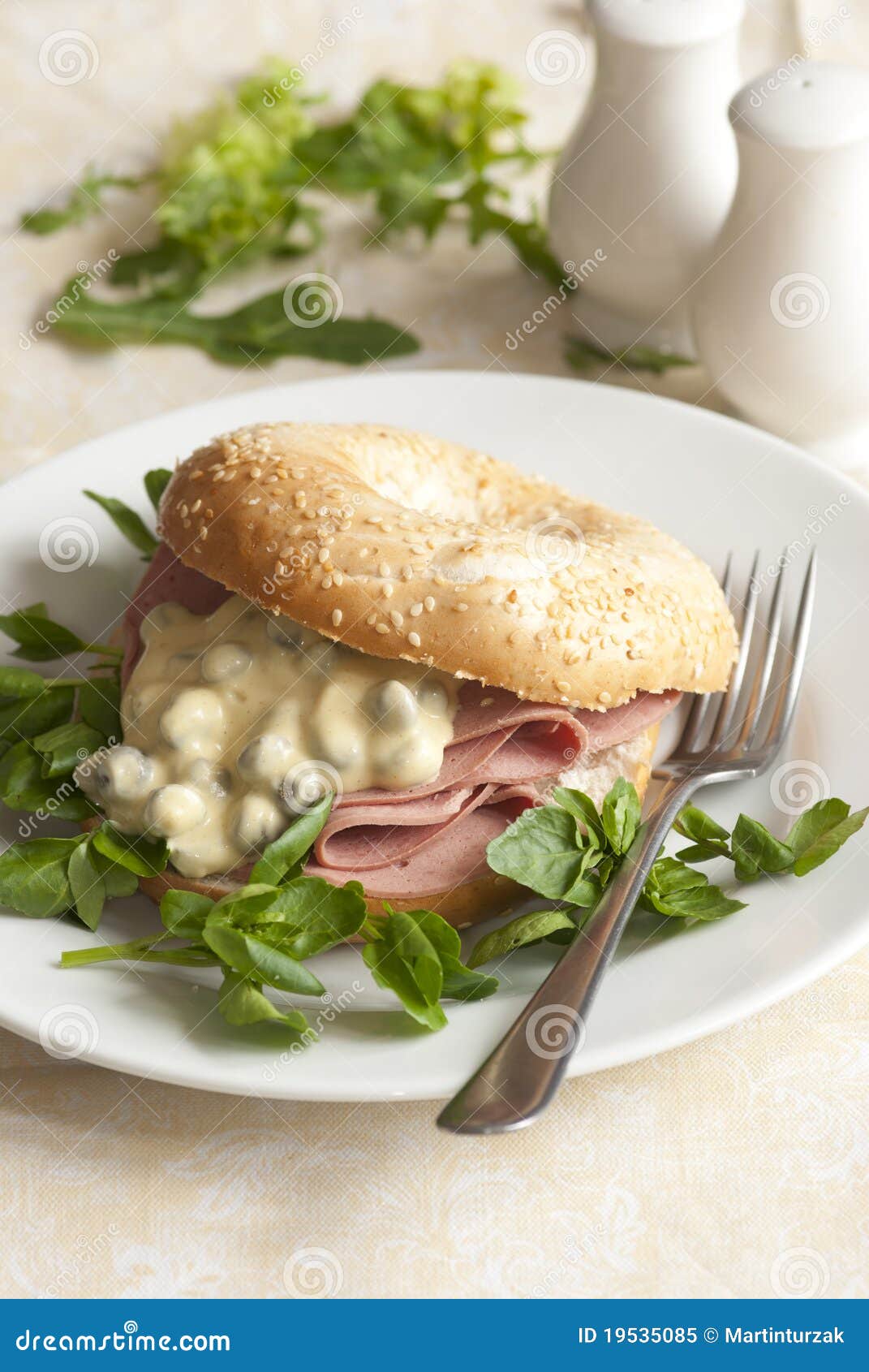 Filled bagel stock image. Image of dressing, caper, fresh - 19535085