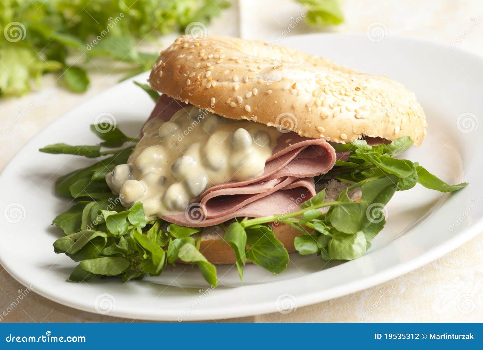 Filled bagel stock photo. Image of leaf, dressing, fresh - 19535312