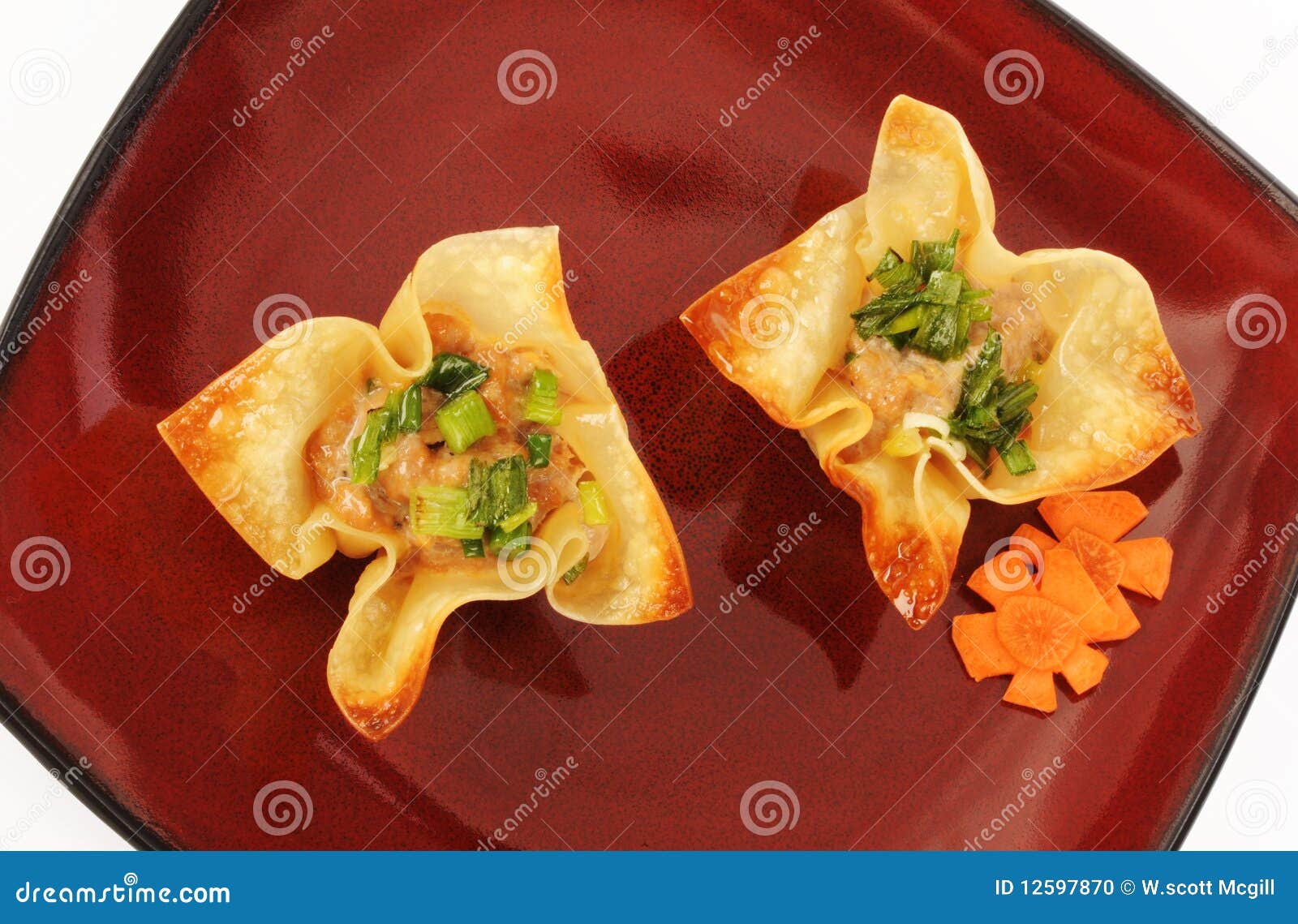 Filled Wontons stock photo. Image of snack, wonton, onions - 12597870