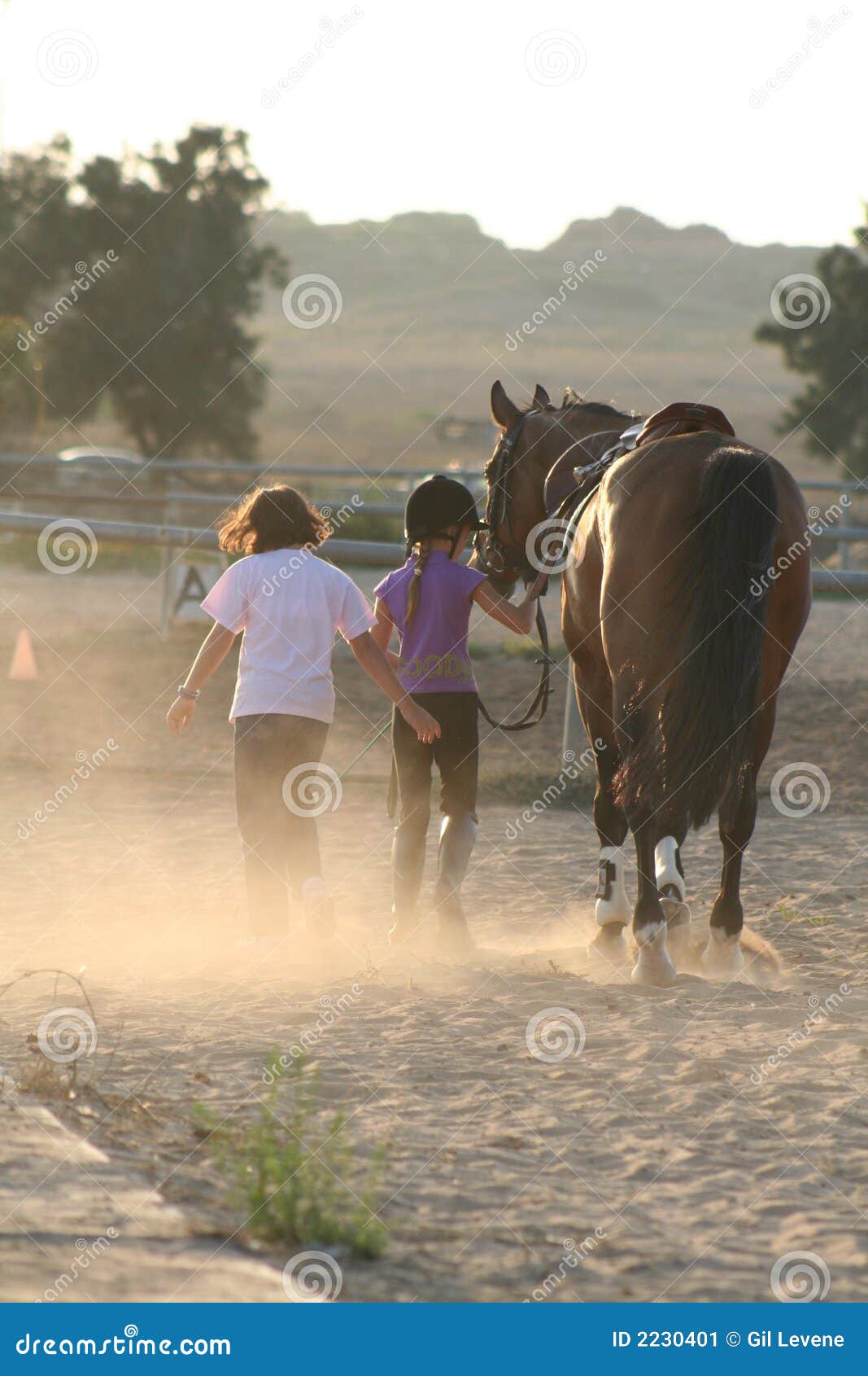Filles avec un cheval image stock. Image du fille, conduite - 2230401