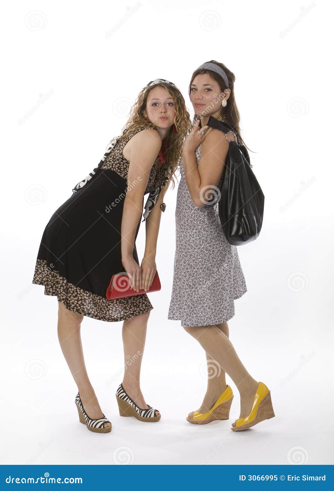 Filles D'adolescent De Mode Image stock - Image du amis, attitude: 3066995