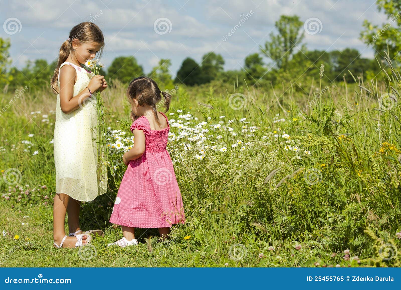 Filles sentant la fleur image stock. Image du amusement - 25455765