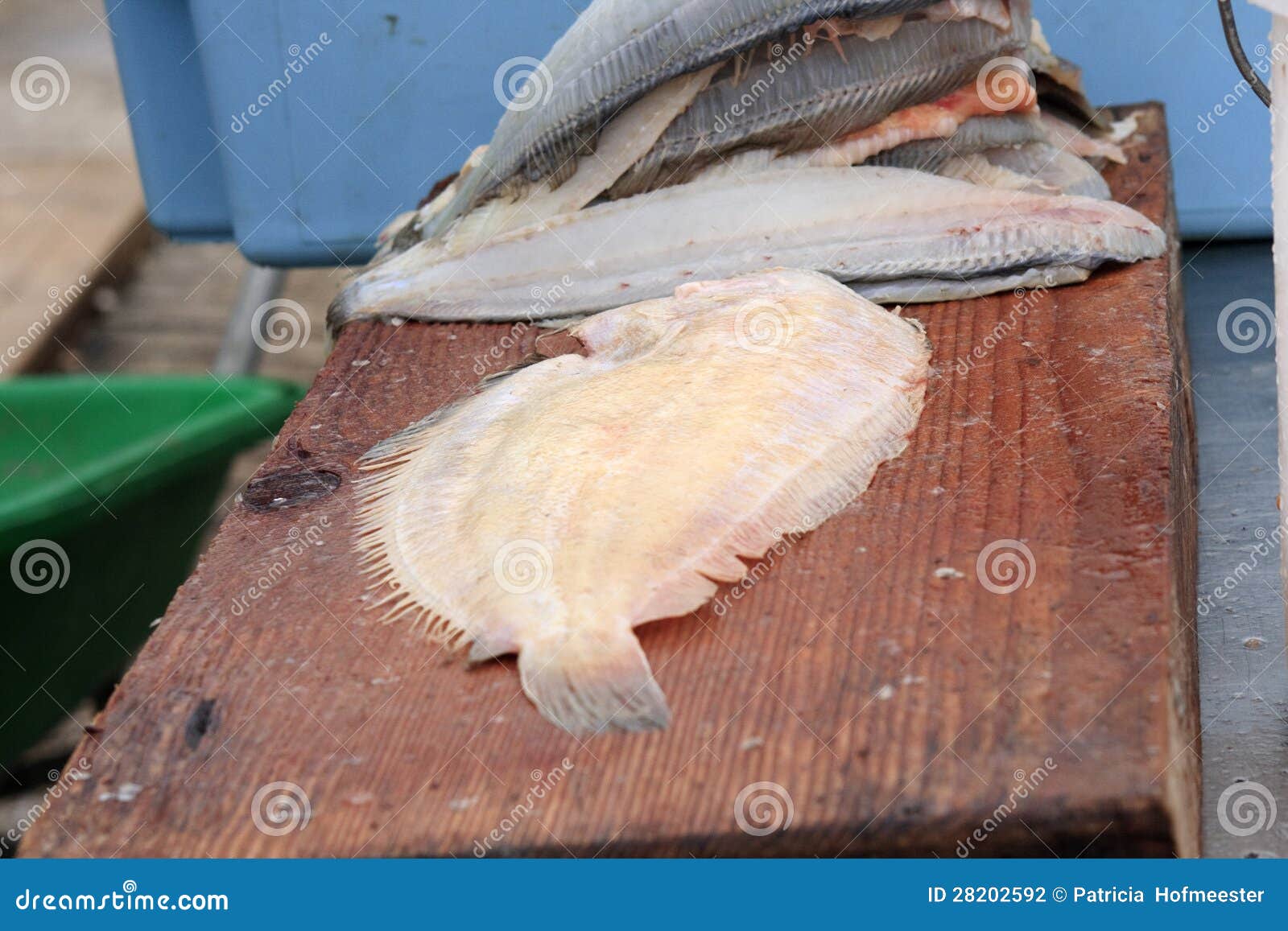 Fillet of fish stock photo. Image of eating, hand, outdoors - 28202592