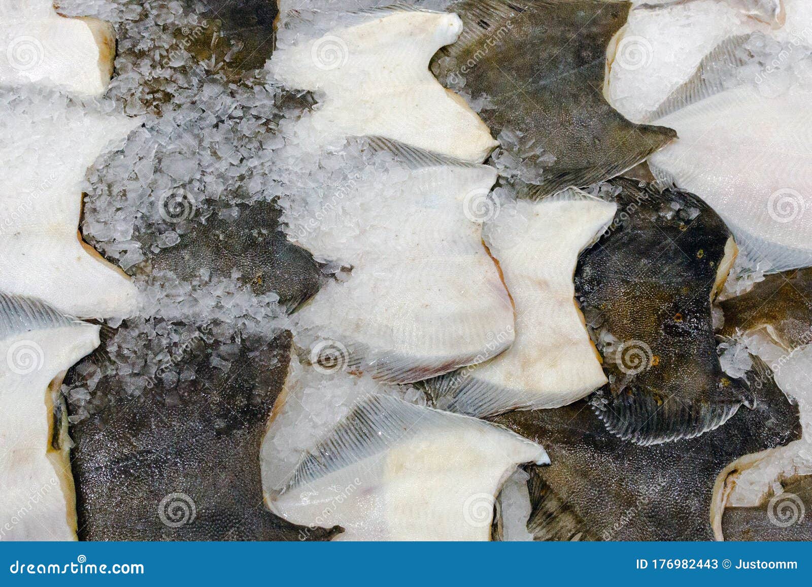 Fillet of Fish on a Counter on Ice Stock Image - Image of market, food ...