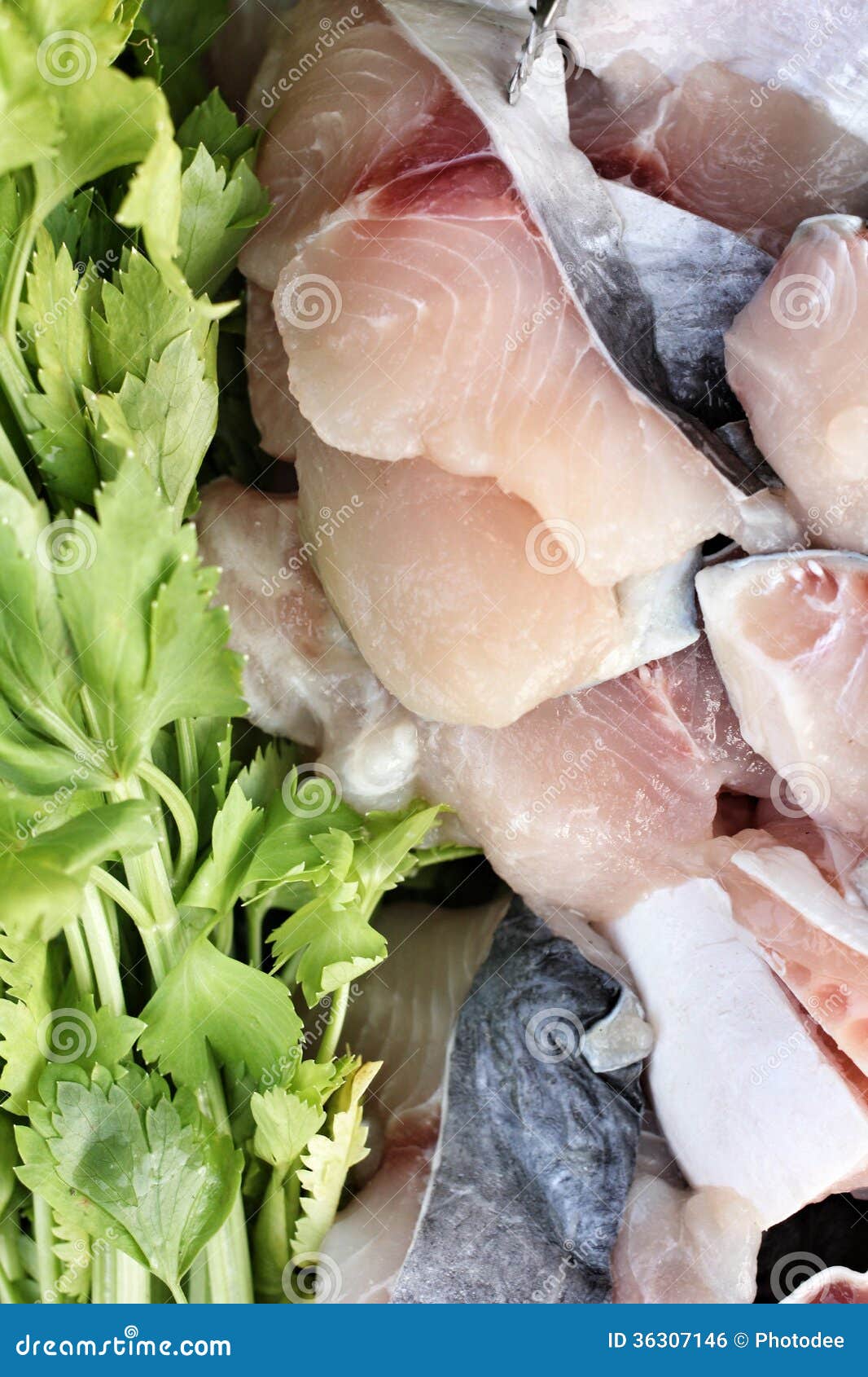 Fillet of fresh fish stock photo. Image of nature, pangasius - 36307146