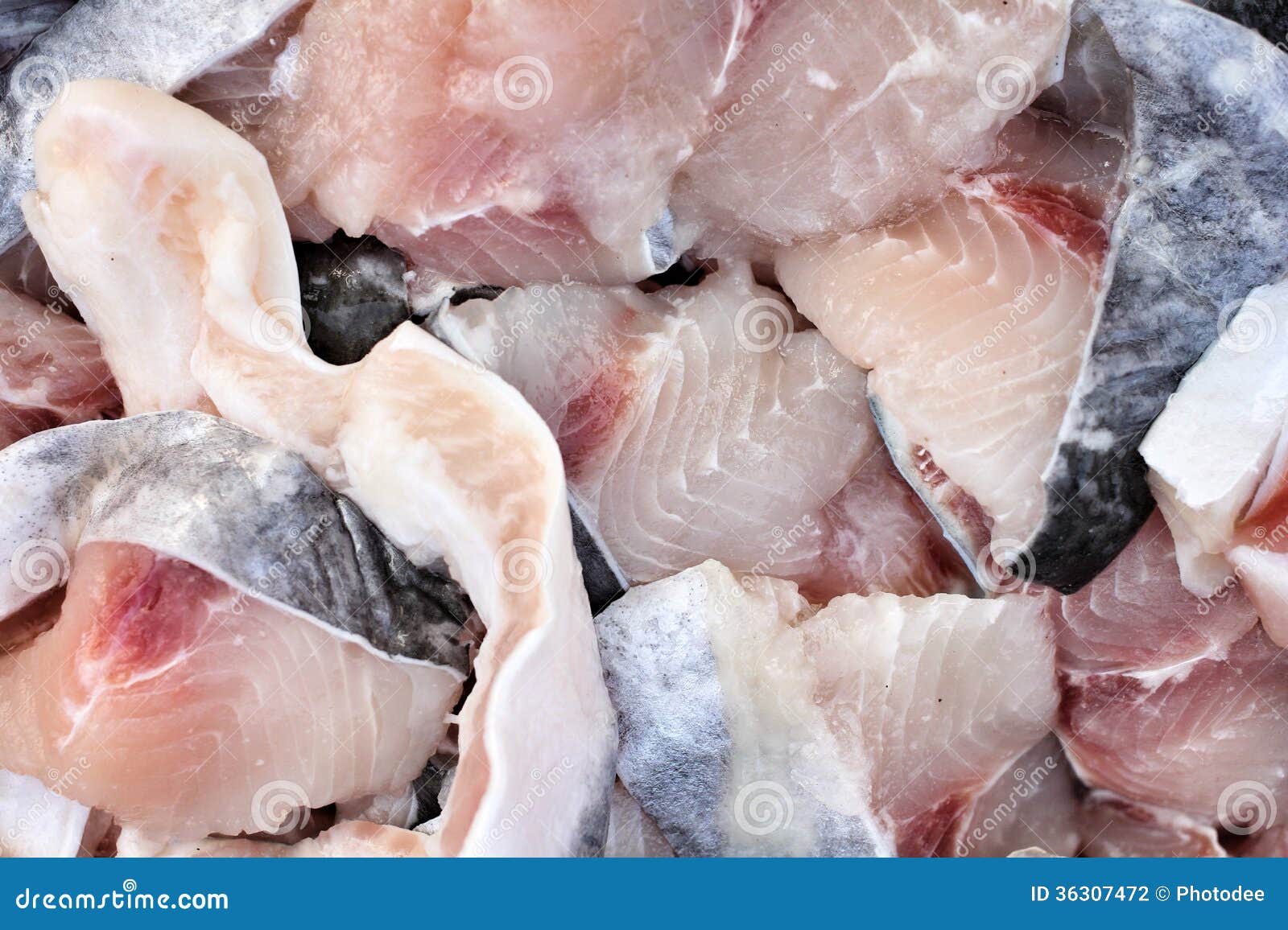 Fillet of fresh fish stock photo. Image of lunch, healthy - 36307472