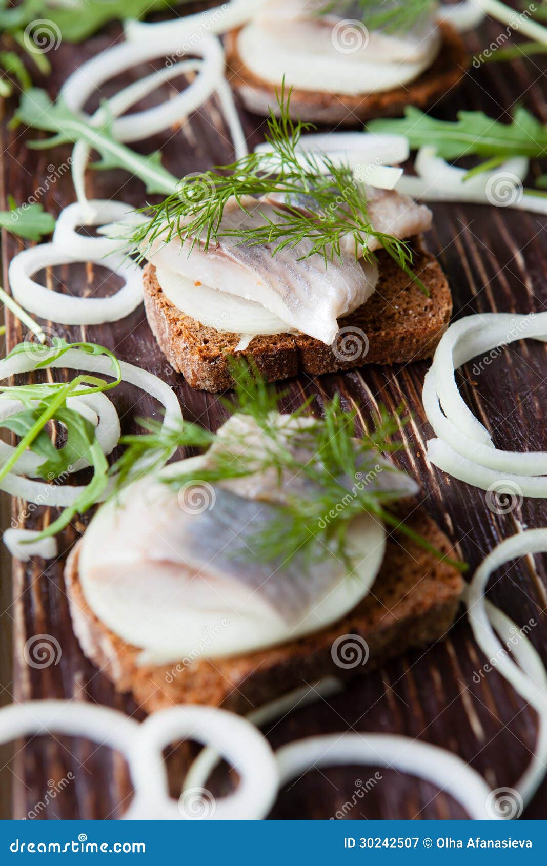 Fillet of Herring on Rye Bread and Onion Rings Stock Image - Image of ...