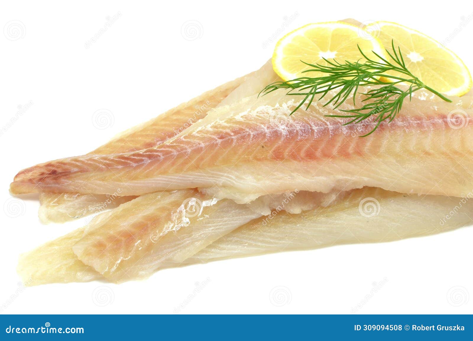 Fillet of pollock stock photo. Image of pollock, meat - 309094508