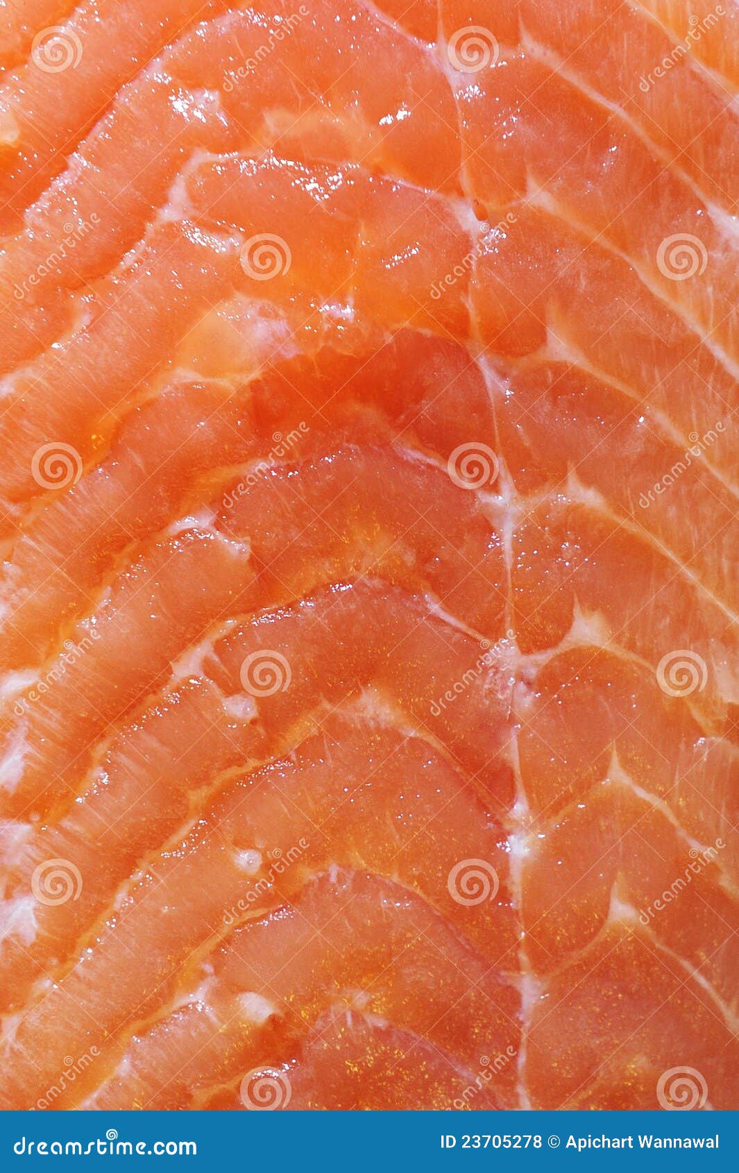 Fillet of Red Fish a Salmon Stock Photo - Image of diet, macro: 23705278