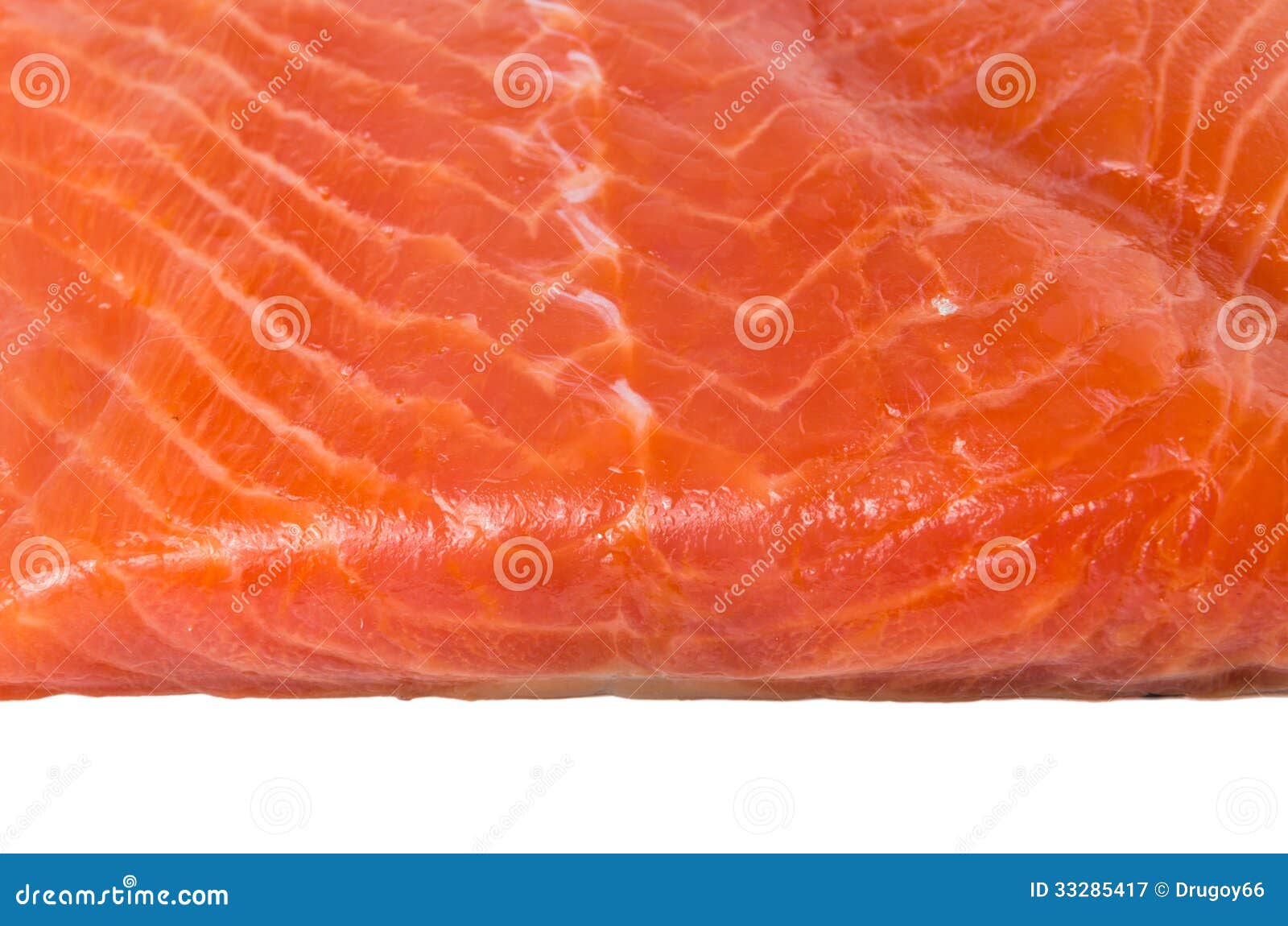 Fillet of trout stock image. Image of seafood, isolated - 33285417