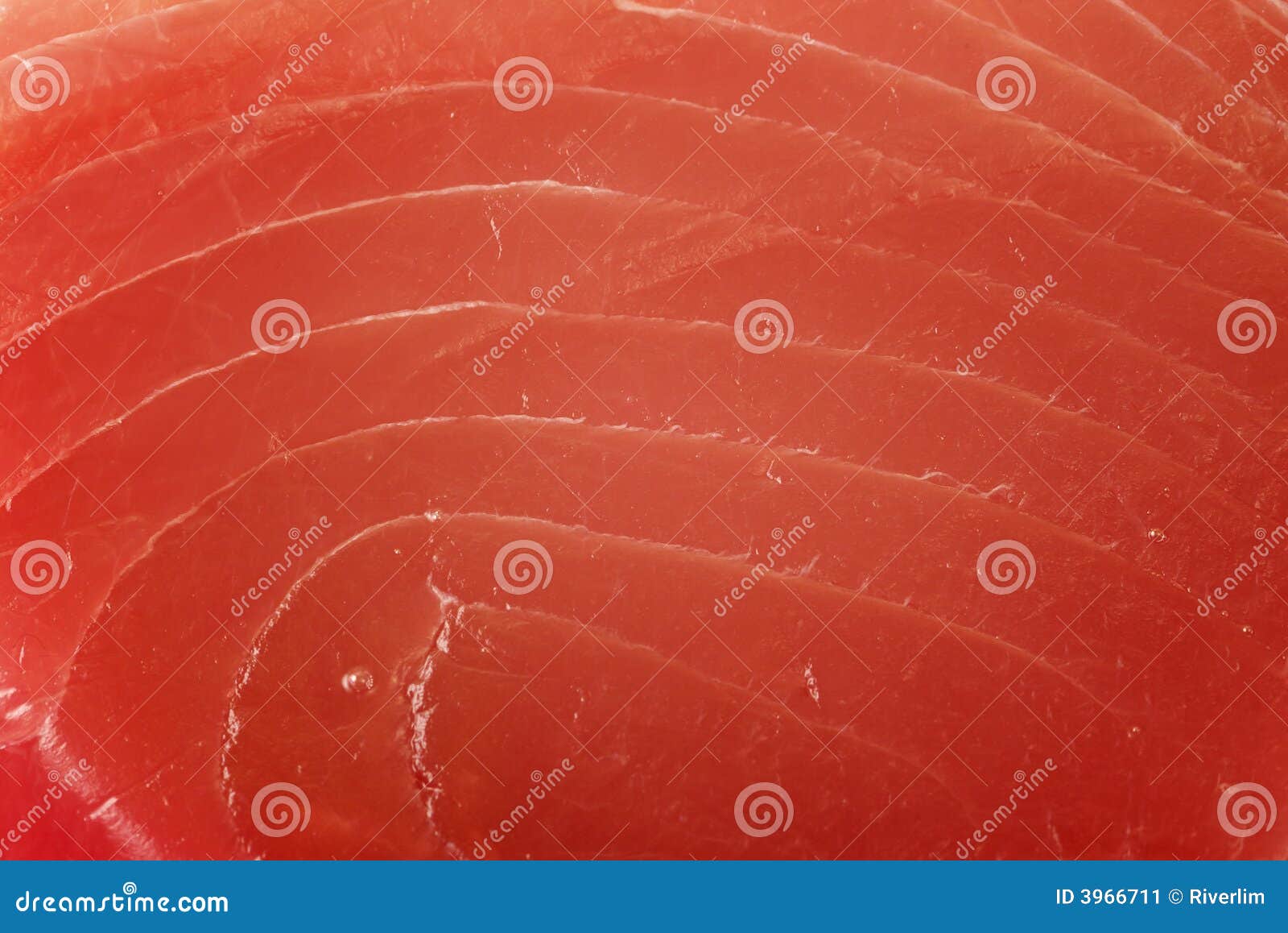 Fillet of Tuna Fish stock image. Image of culinary, isolated - 3966711