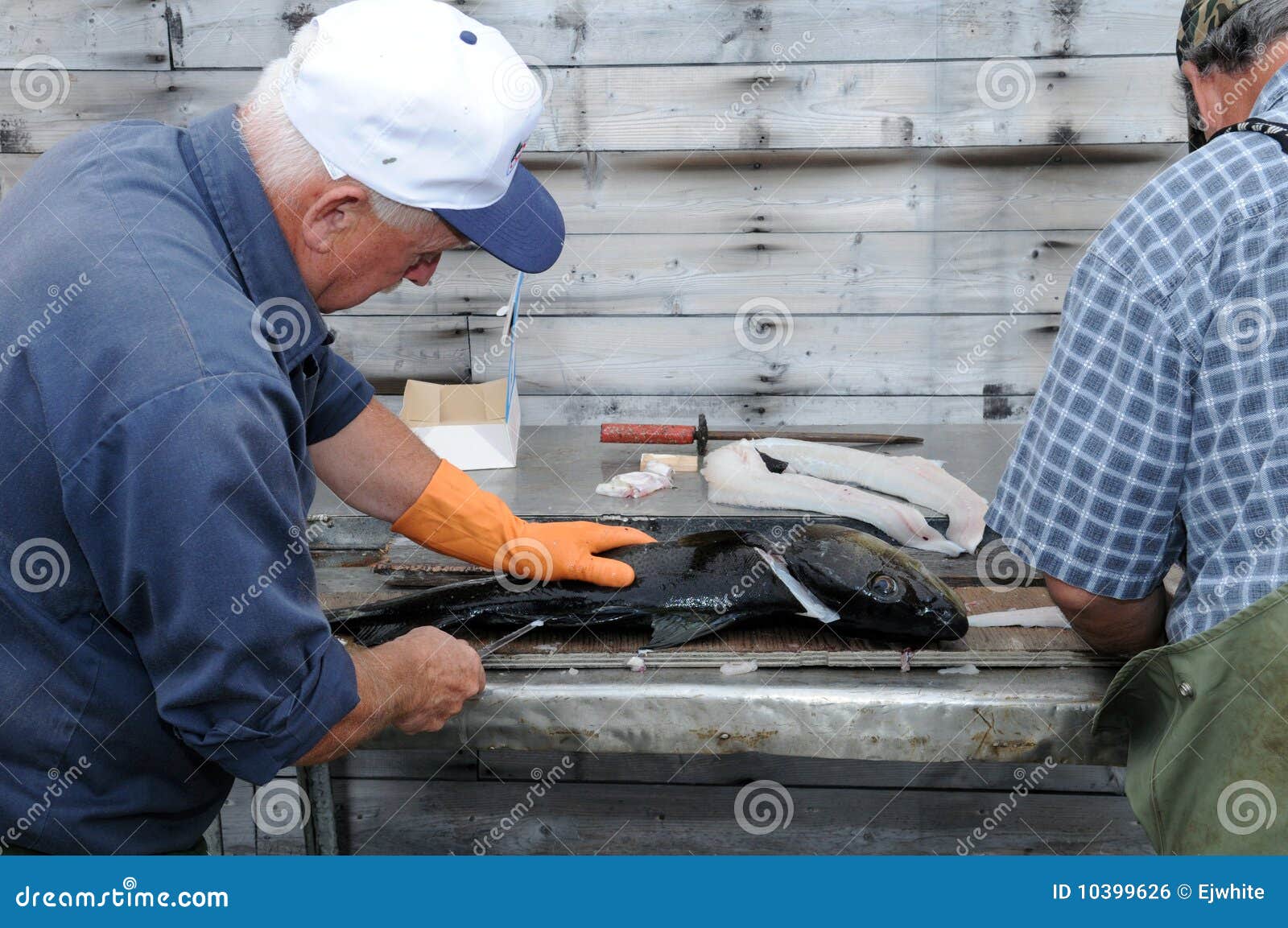 Filleting codfish stock photo. Image of filleting, knife - 10399626