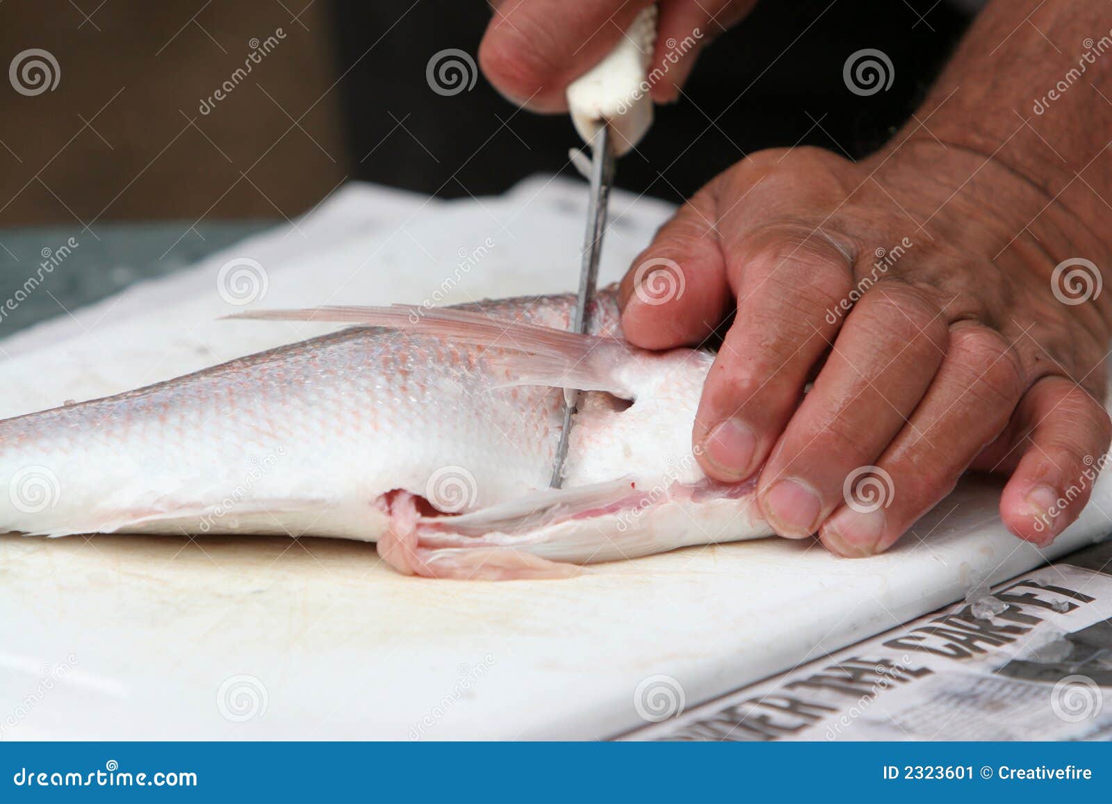 Filleting Fish stock image. Image of eyes, prepare, sharp - 2323601