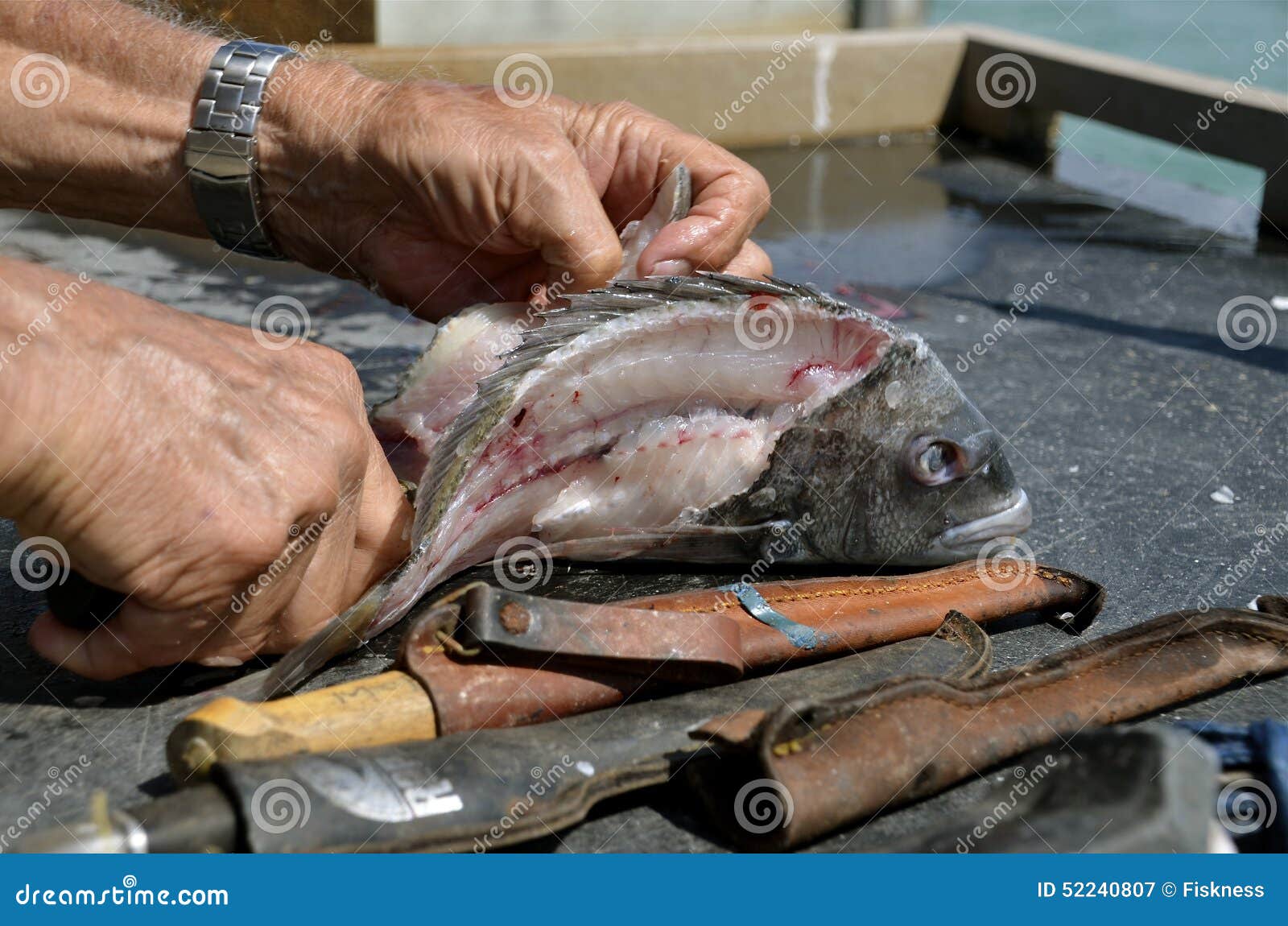 Filleting a fish stock image. Image of fins, salmon, fisherman - 52240807