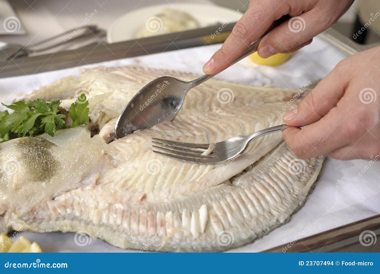 Filleting a poached turbot stock photo. Image of hand - 23707494